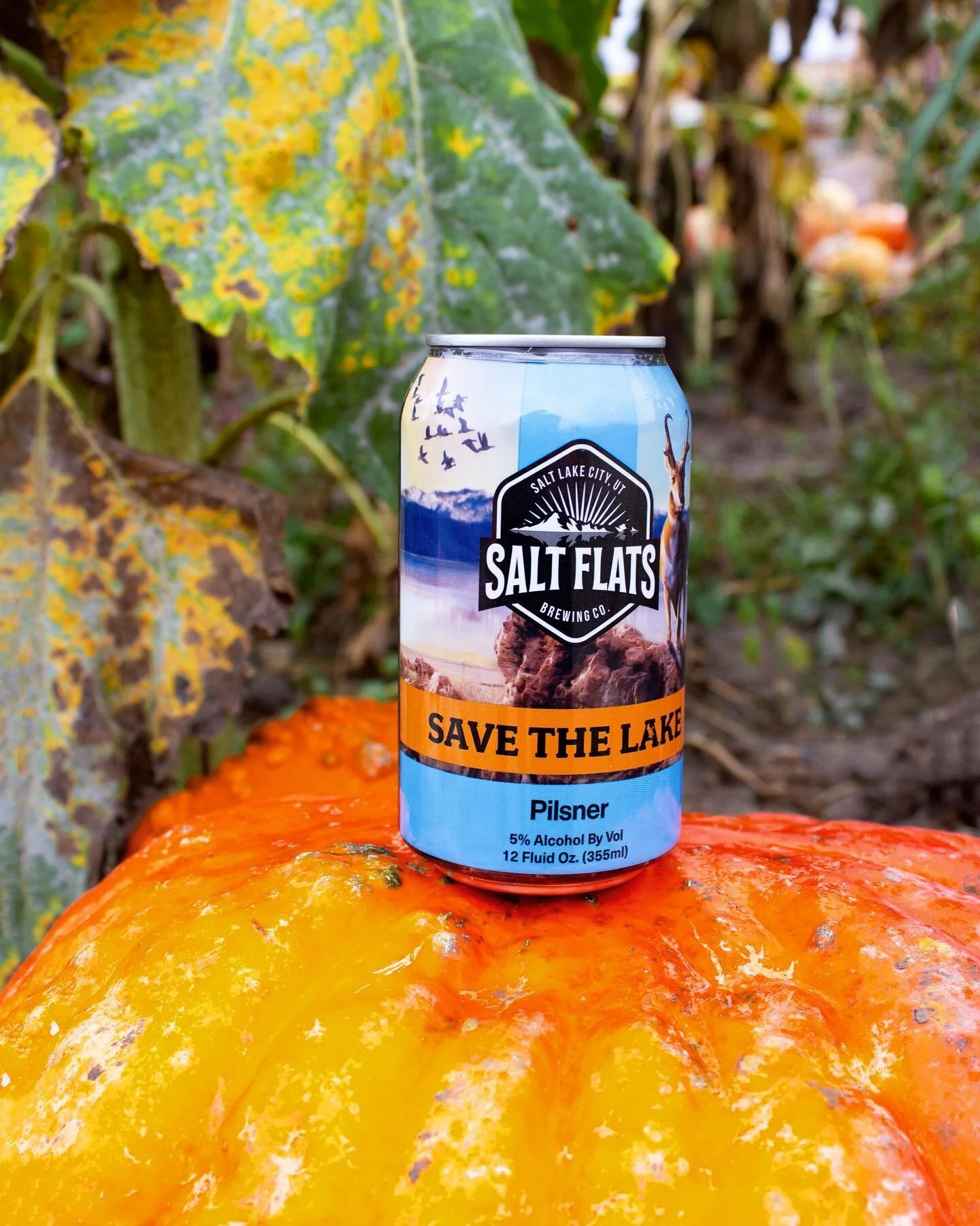 Social Media — Salt Flats Brewing Co.