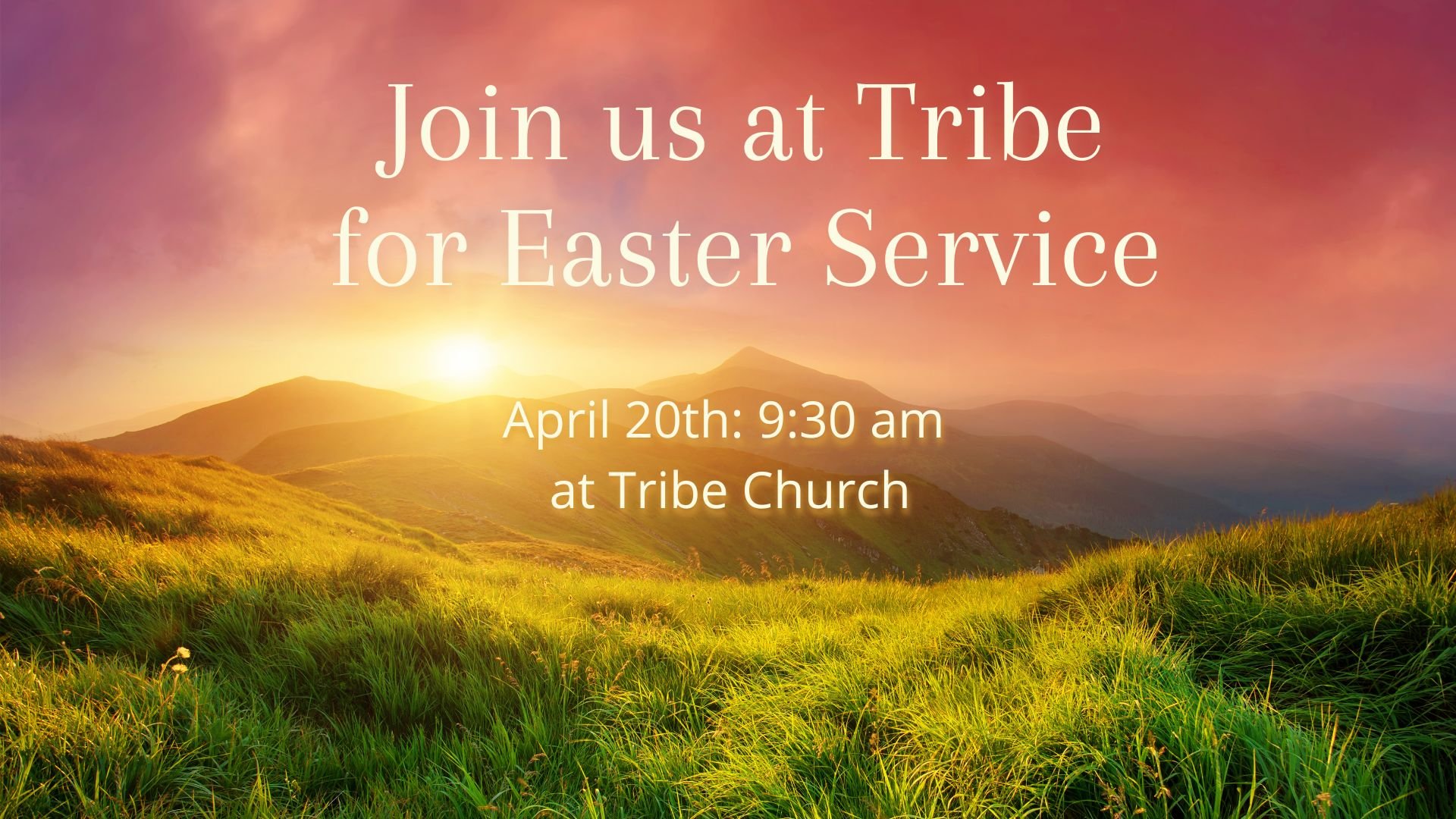 Tribe Church