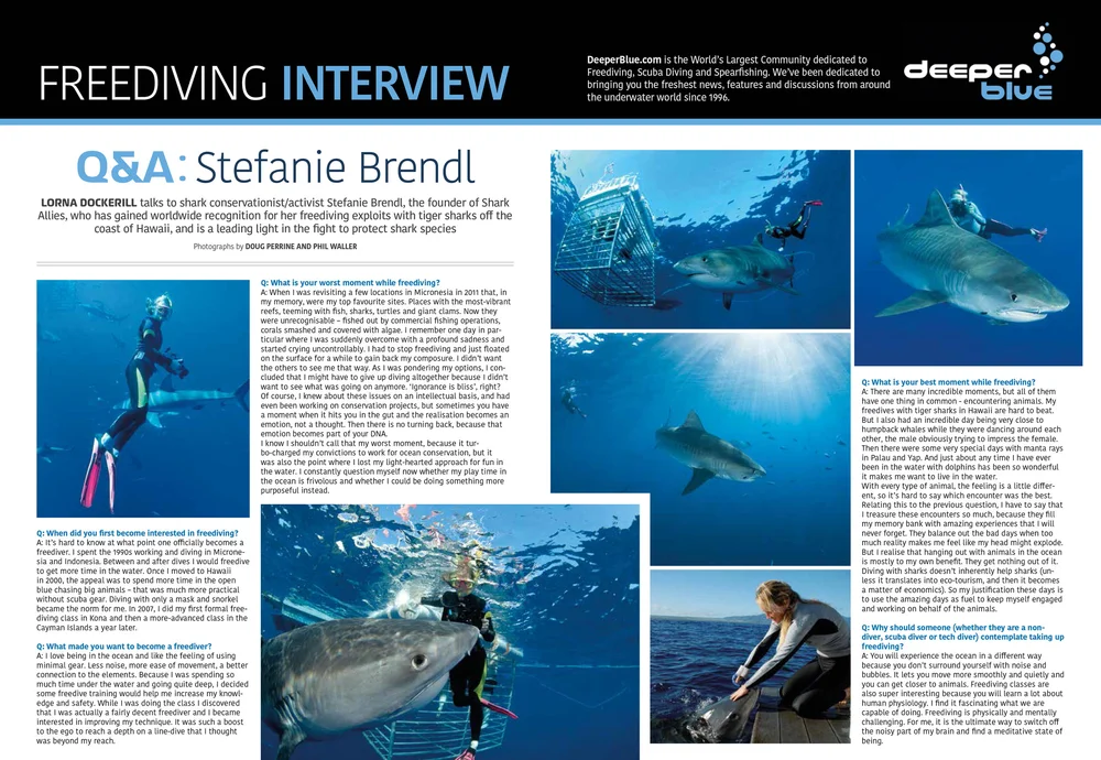 Shark Diver Magazine