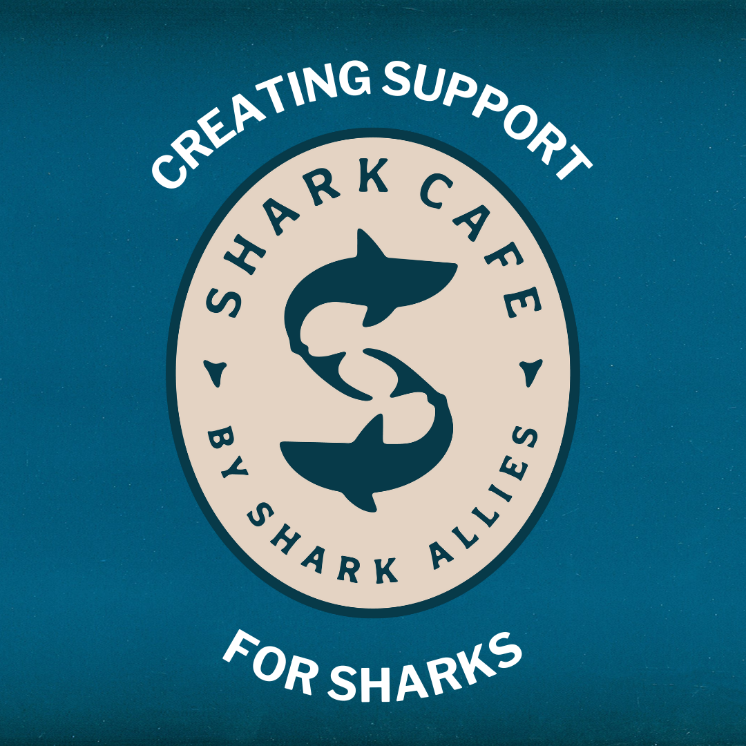 Taking Action To Save Sharks | Shark Allies