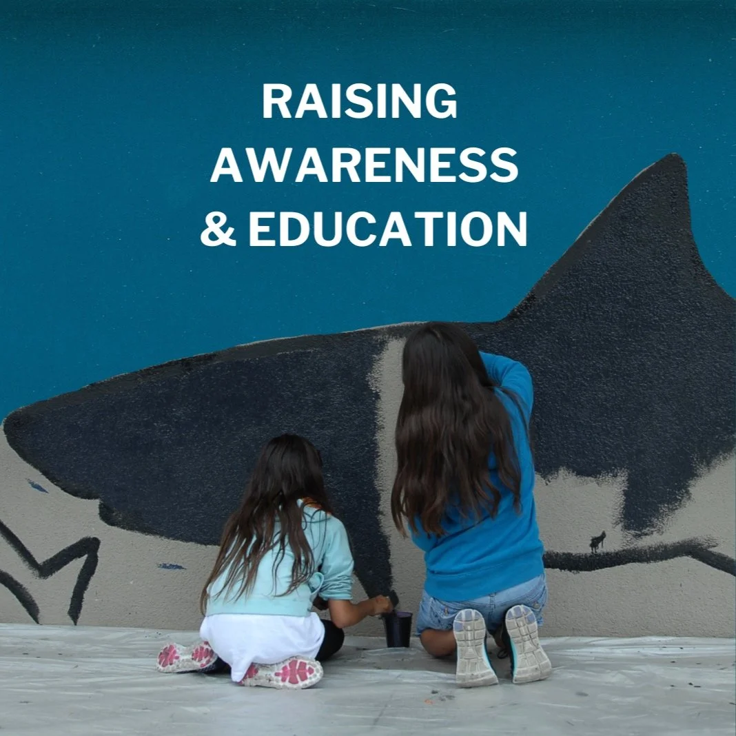 Taking Action To Save Sharks | Shark Allies