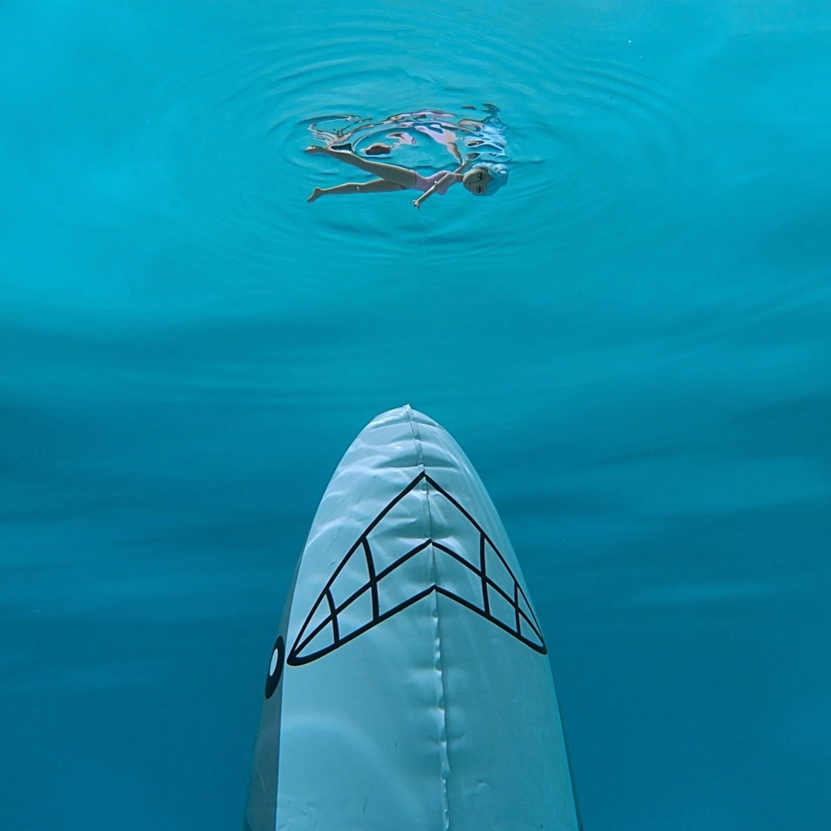 Taking Action To Save Sharks | Shark Allies