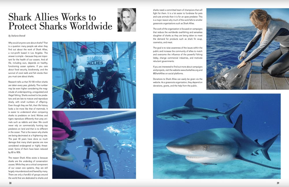 Shark Allies Works to Protect Sharks Worldwide - Trends Magazine ...