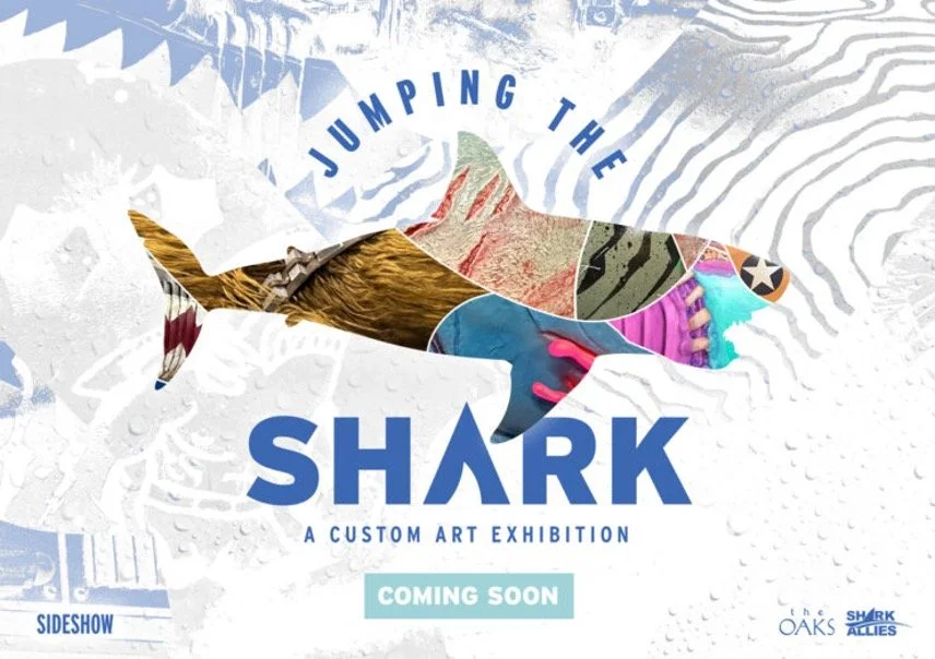 Taking Action To Save Sharks | Shark Allies
