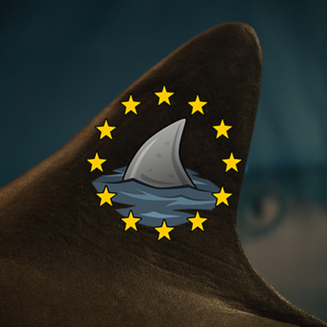 Taking Action To Save Sharks | Shark Allies