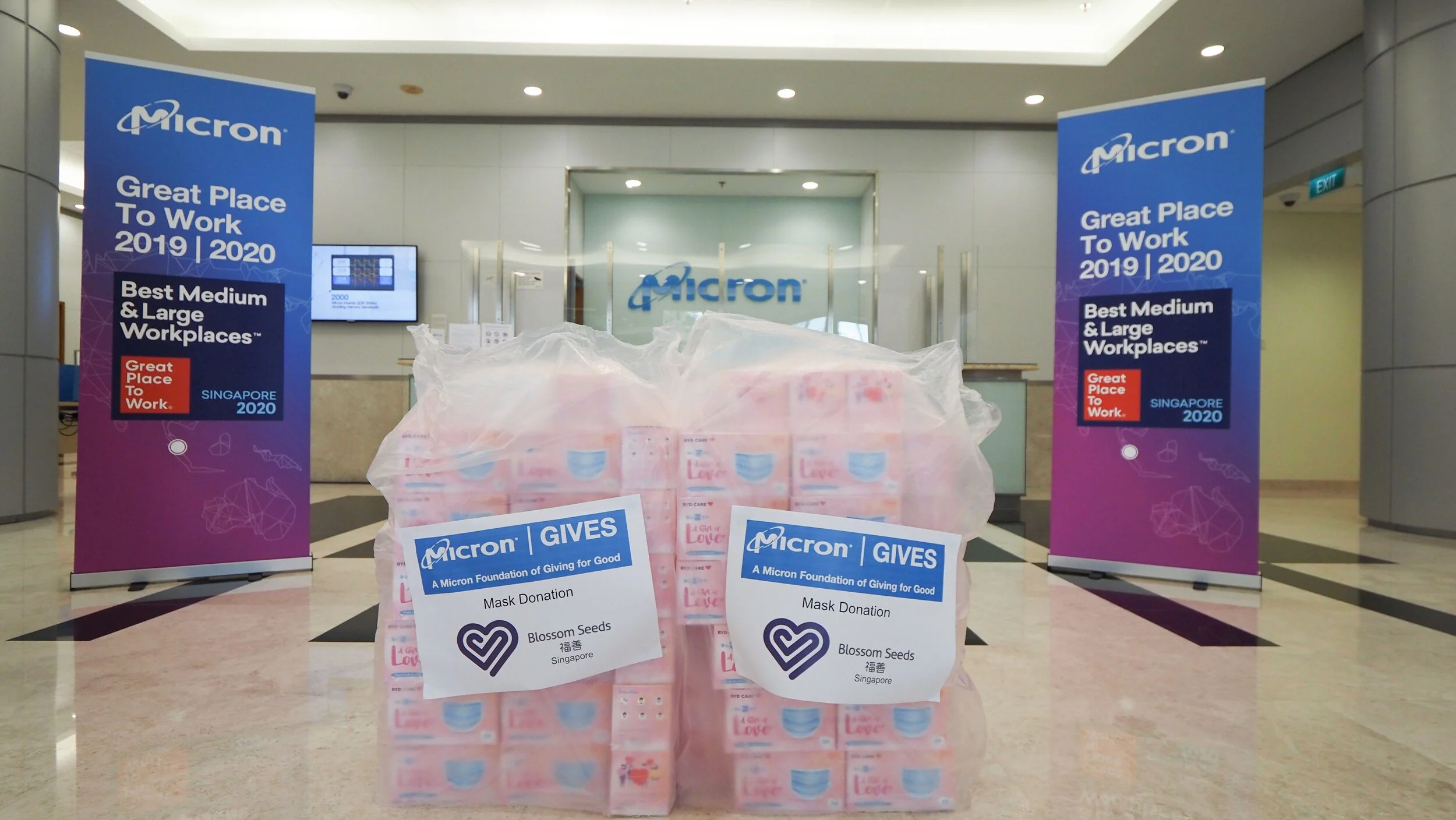 CNY Greetings to Micron — Blossom Seeds 福善