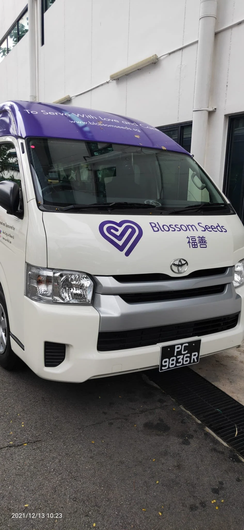 Long Awaited Bus — Blossom Seeds 福善