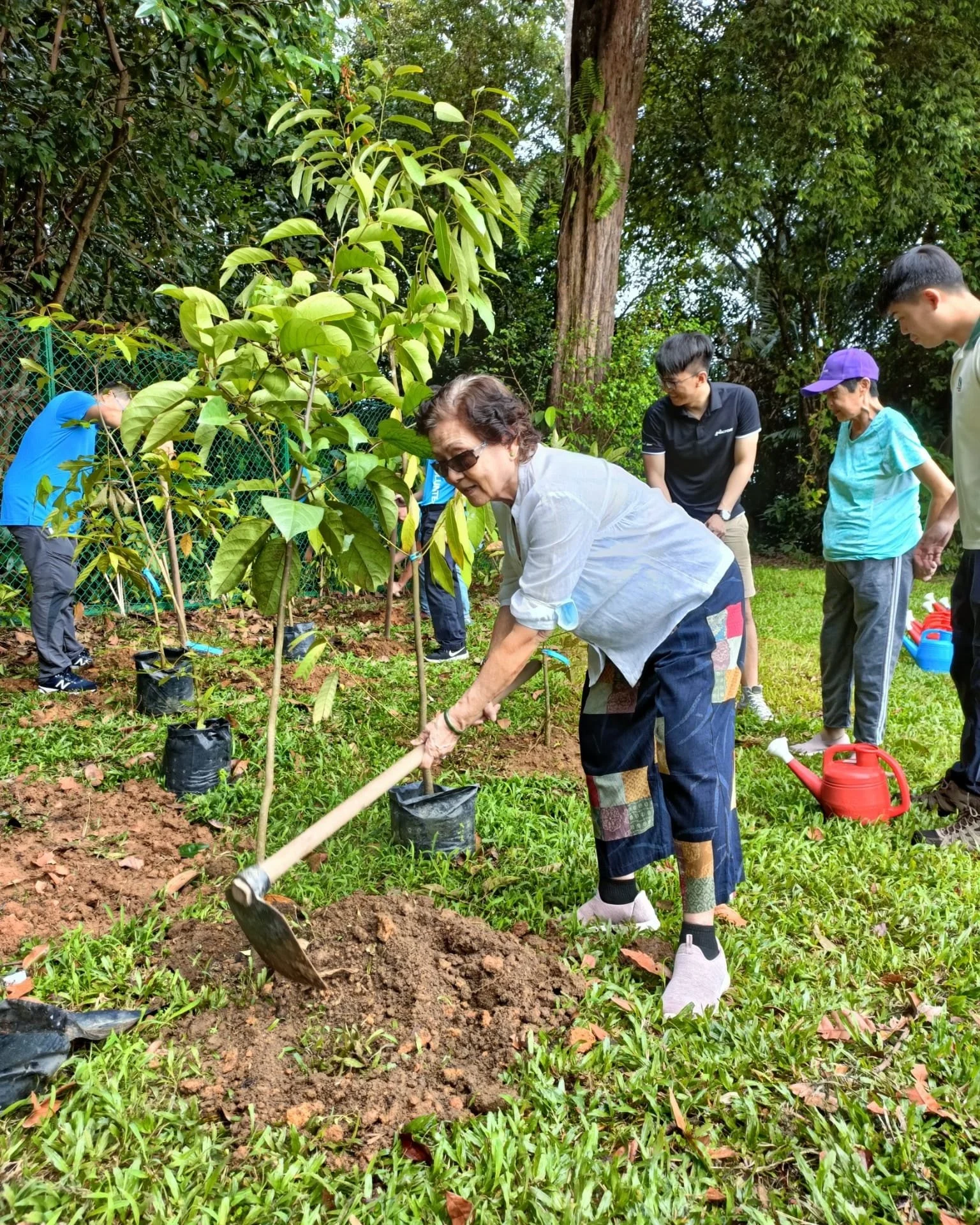 One Million Trees Movement — Blossom Seeds 福善