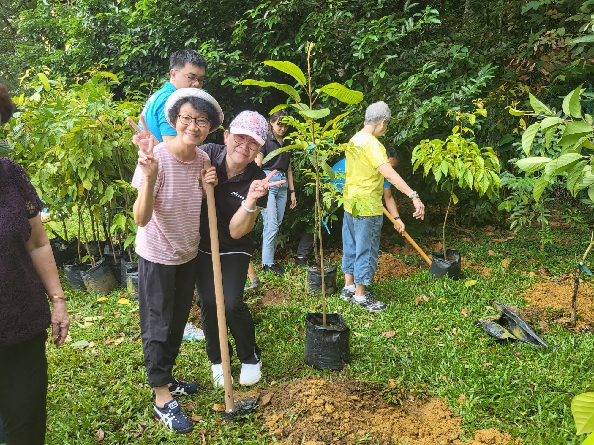 One Million Trees Movement — Blossom Seeds 福善