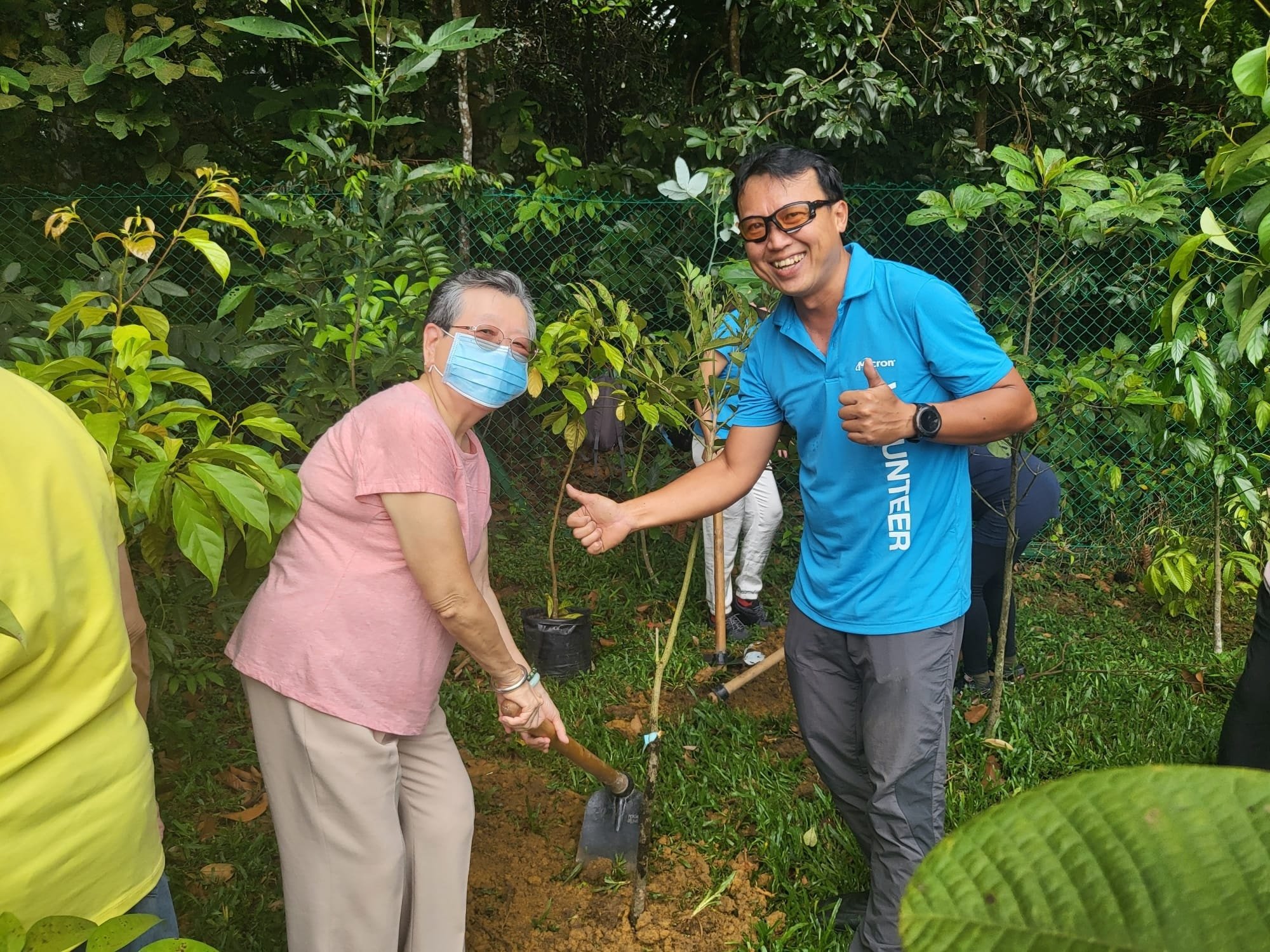 One Million Trees Movement — Blossom Seeds 福善