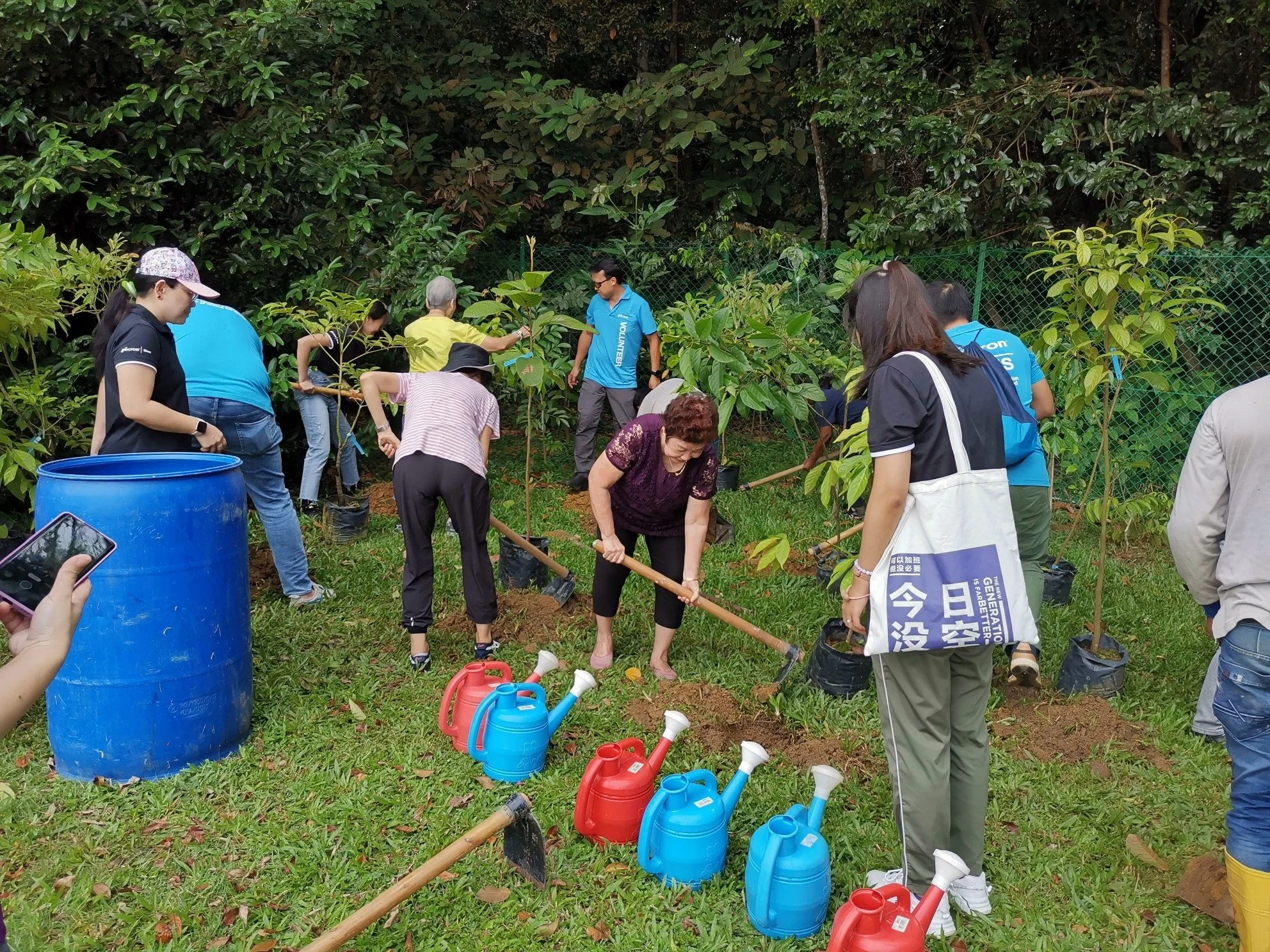 One Million Trees Movement — Blossom Seeds 福善