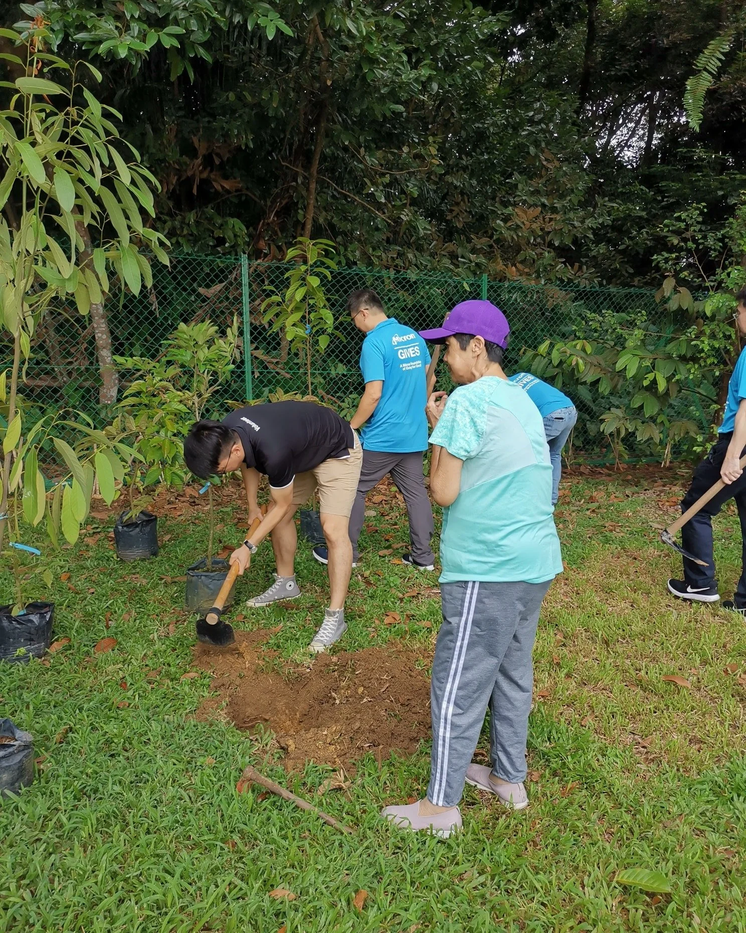One Million Trees Movement — Blossom Seeds 福善
