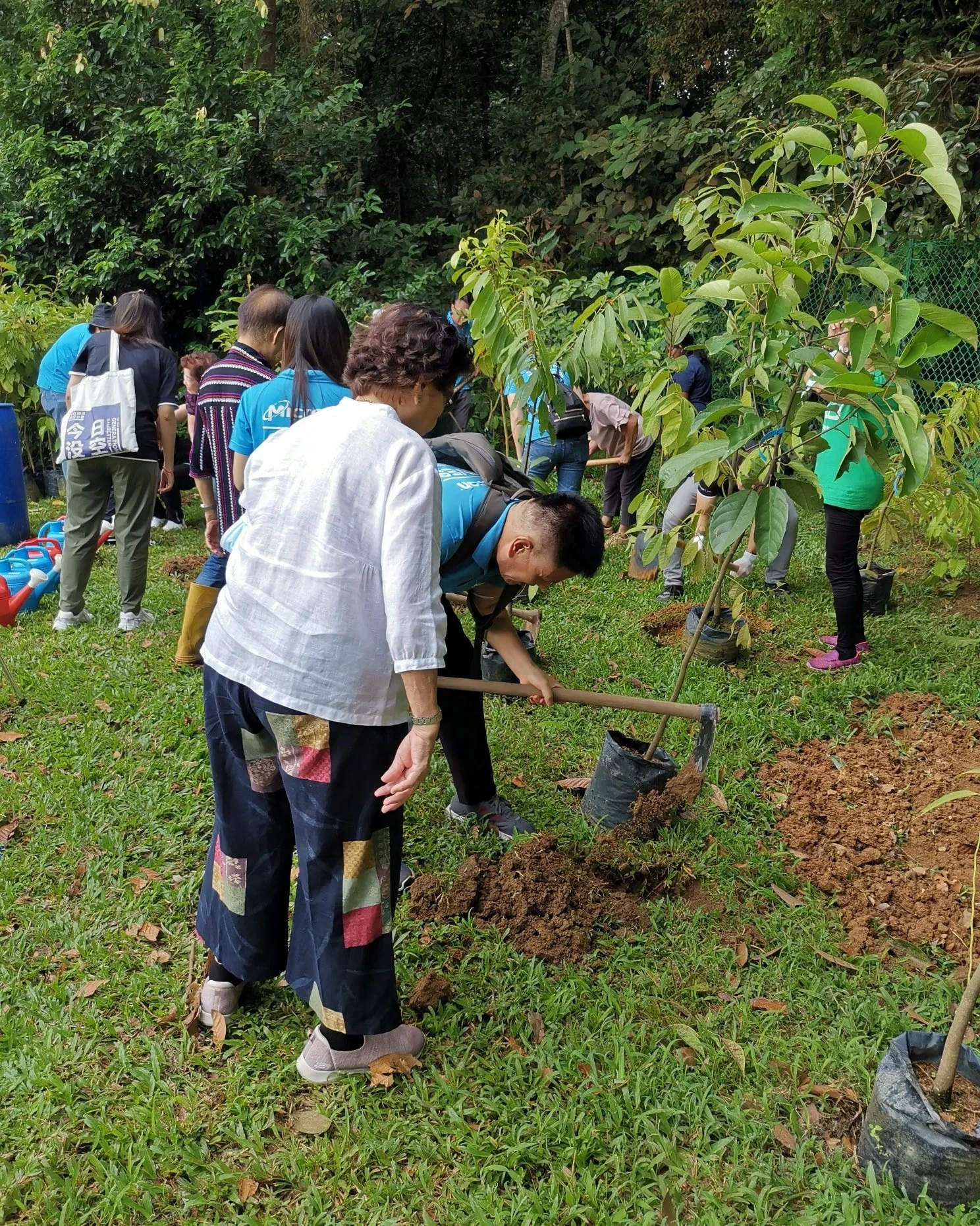One Million Trees Movement — Blossom Seeds 福善