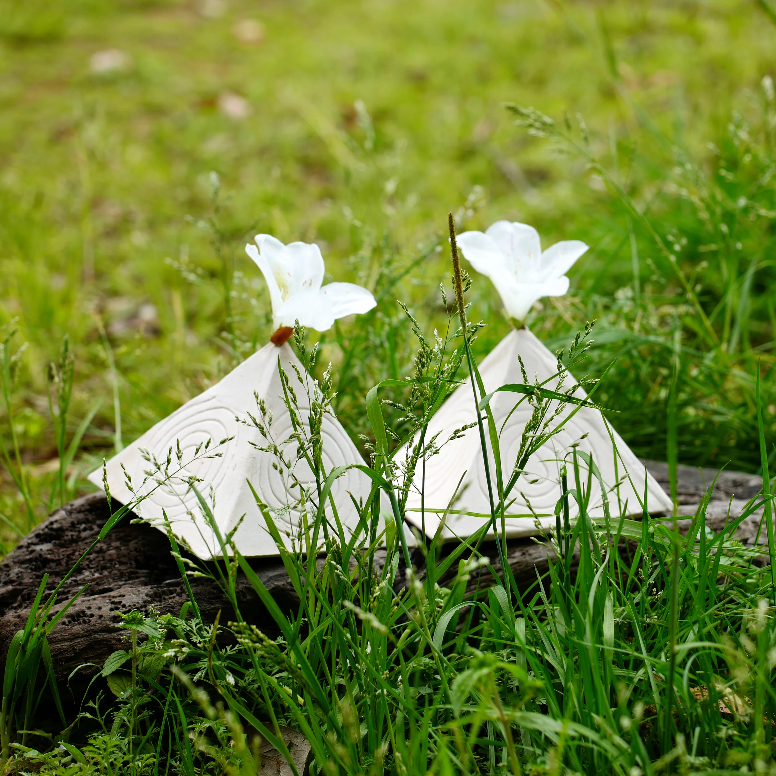 CRAFT OF THE FIRE — thelongandthestroke