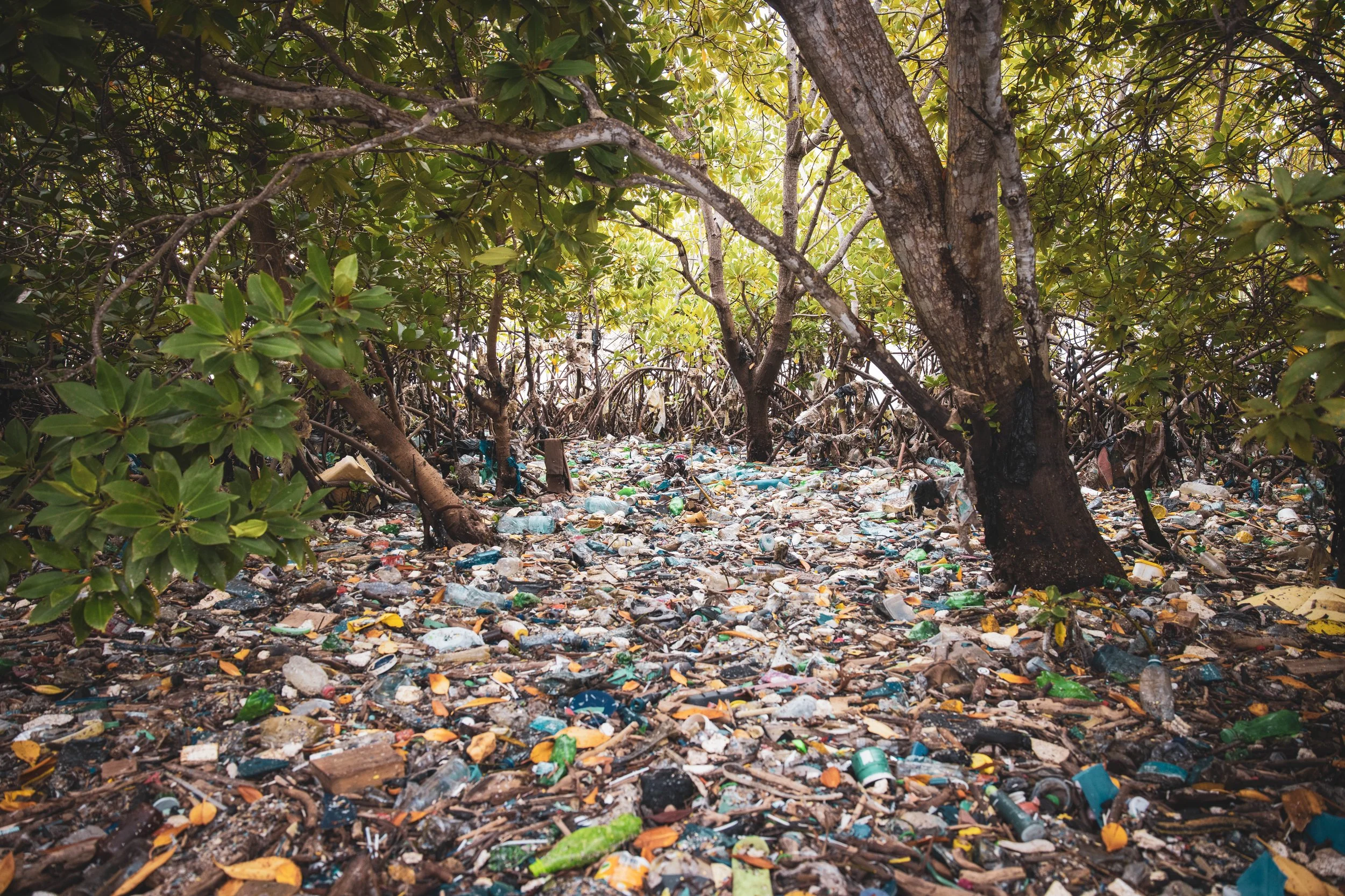 Flipflopi completes 3rd expedition and baseline study: a step to ...