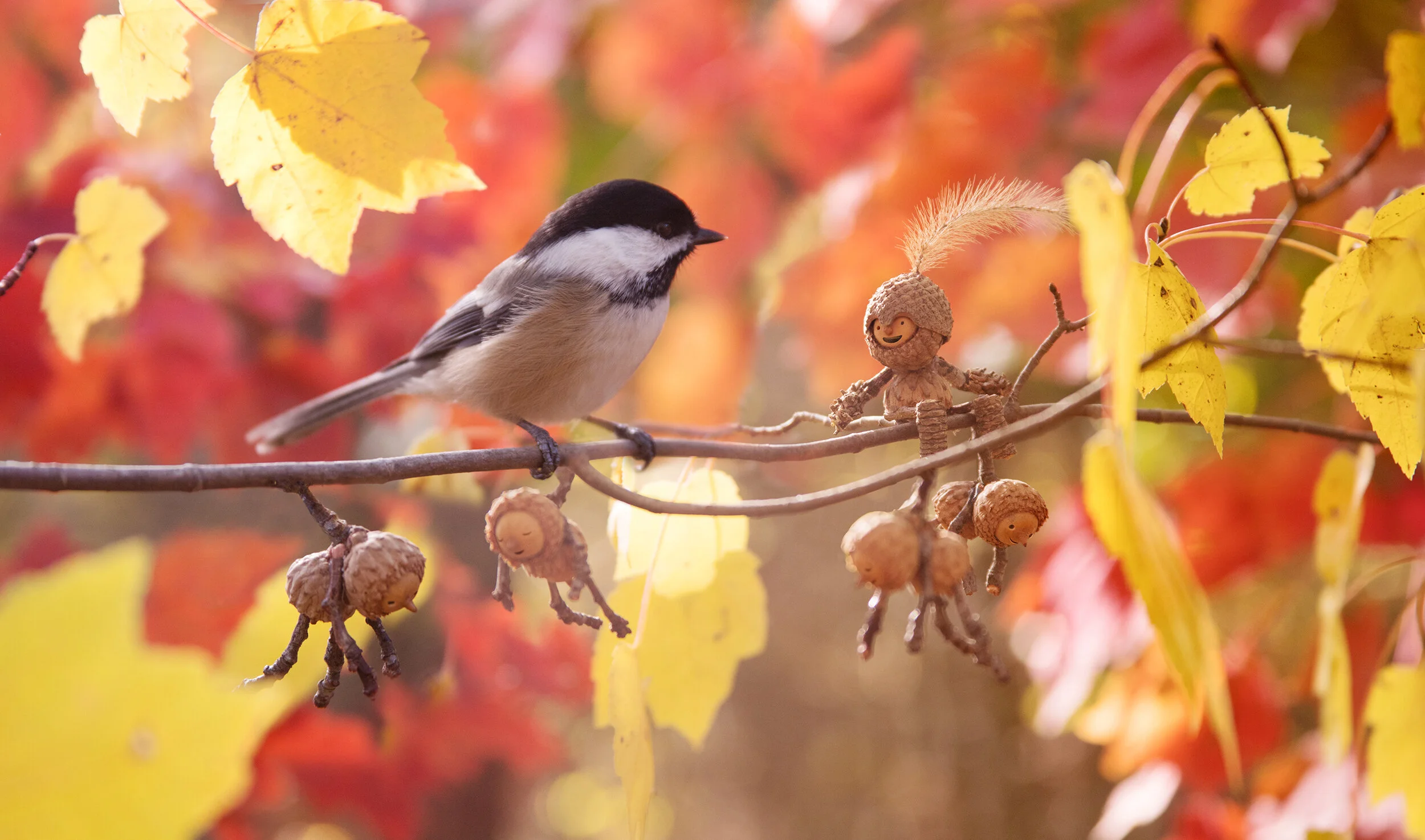 David M Bird | Becorns Fine Art Photography