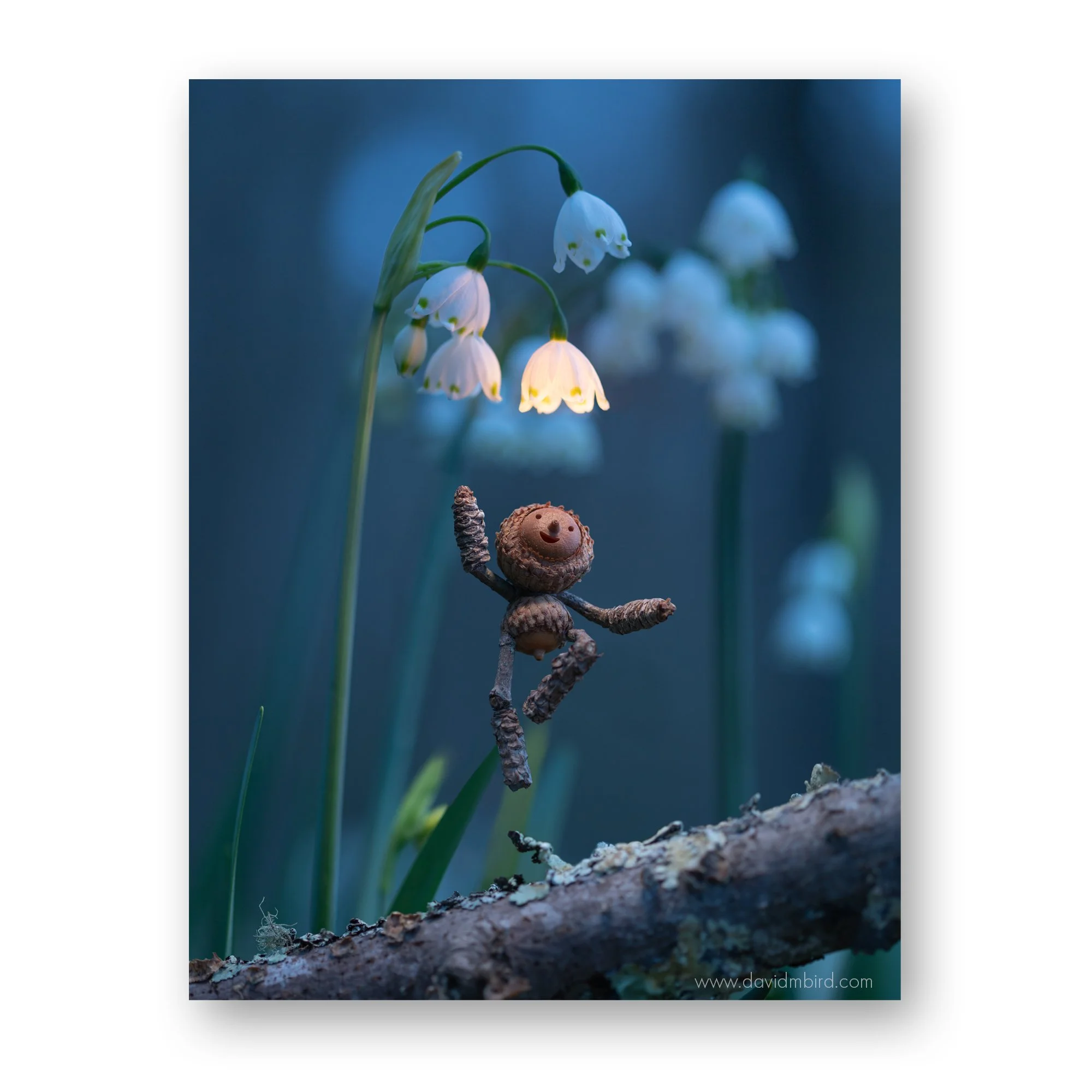 David M Bird | Becorns Fine Art Photography