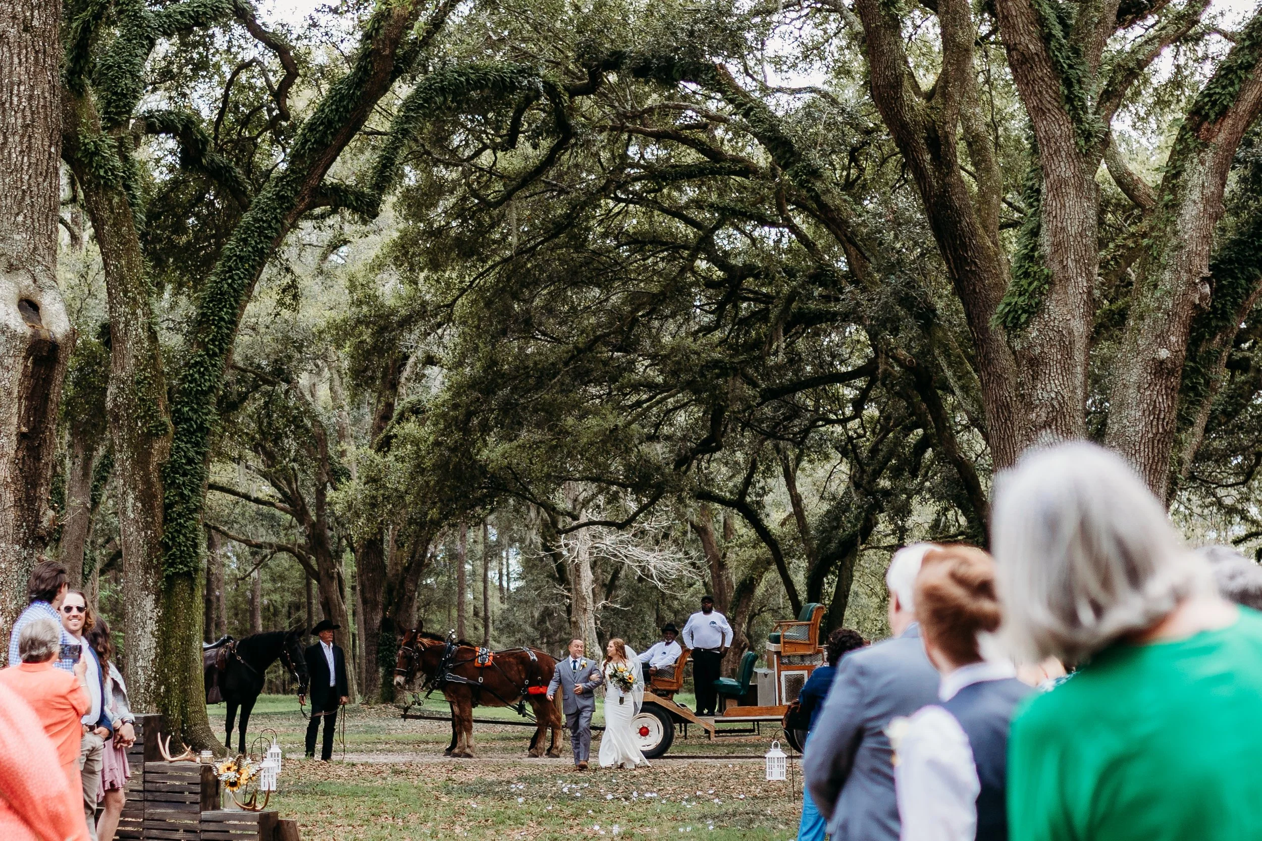 A Southern Outdoor Wedding Venue You’ll Never Forget — Woodside ...