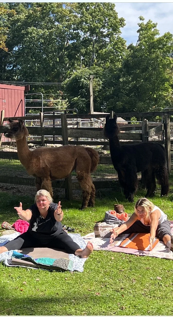 Llama Yoga — Rowanwood Farm