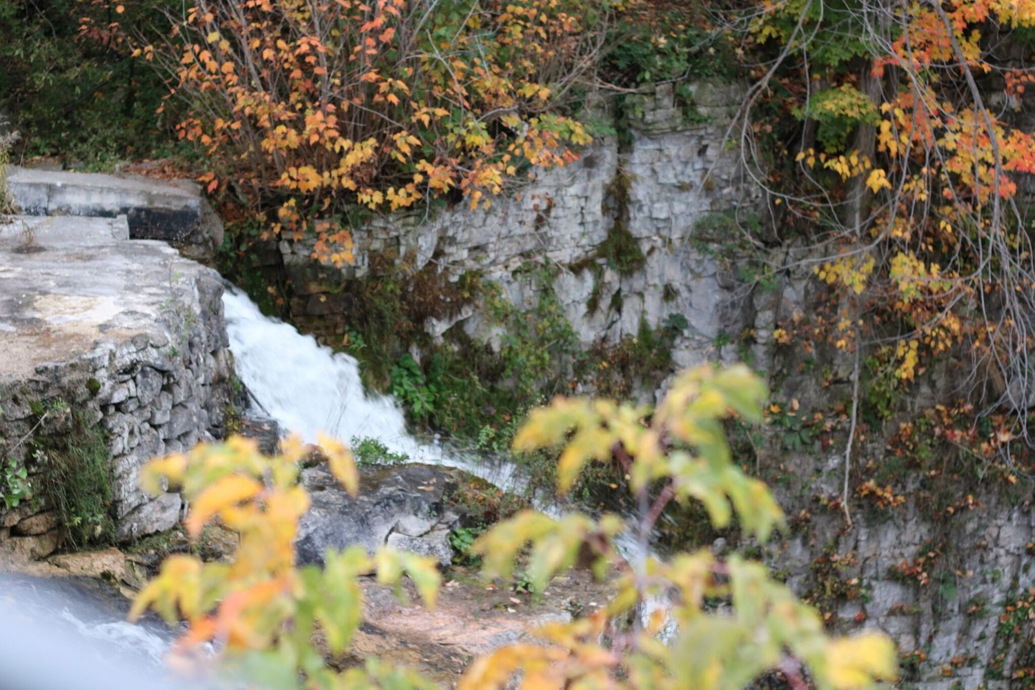 Landscape Inspirations — Koigu