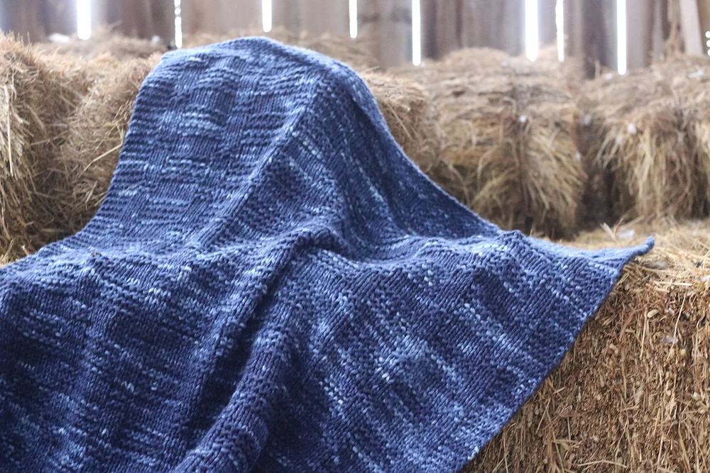 Vill — Koigu