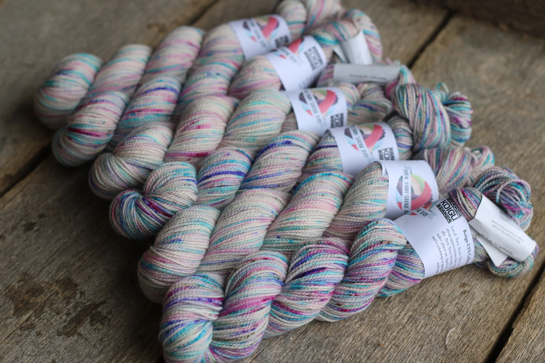 Webs Yarn - Local Yarn Store Day — Koigu