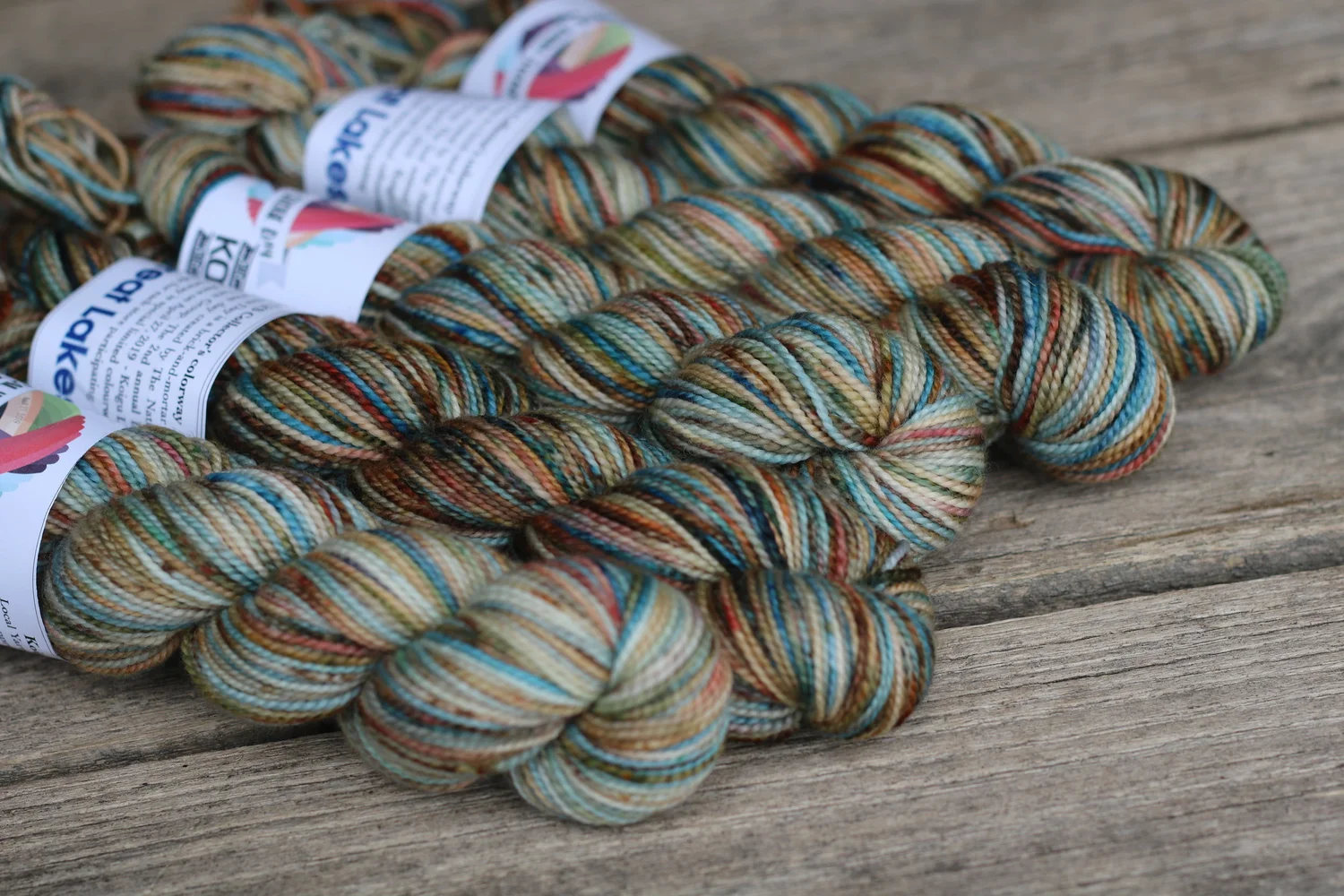 Local Yarn Store Day Custom Colourway Part 4 — Koigu