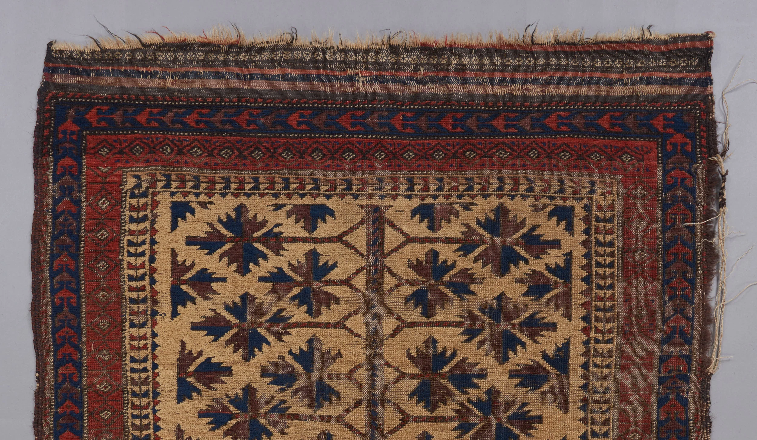 Baluch tree of life rug — b bolour
