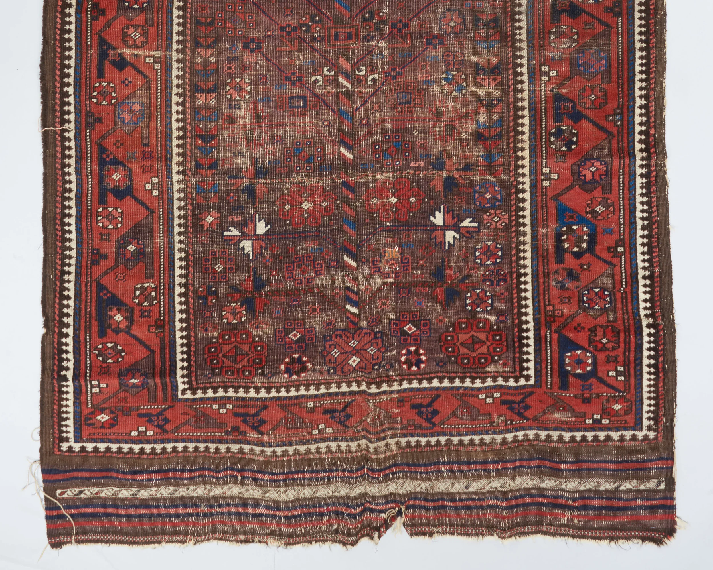 Timuri tree of life rug — b bolour