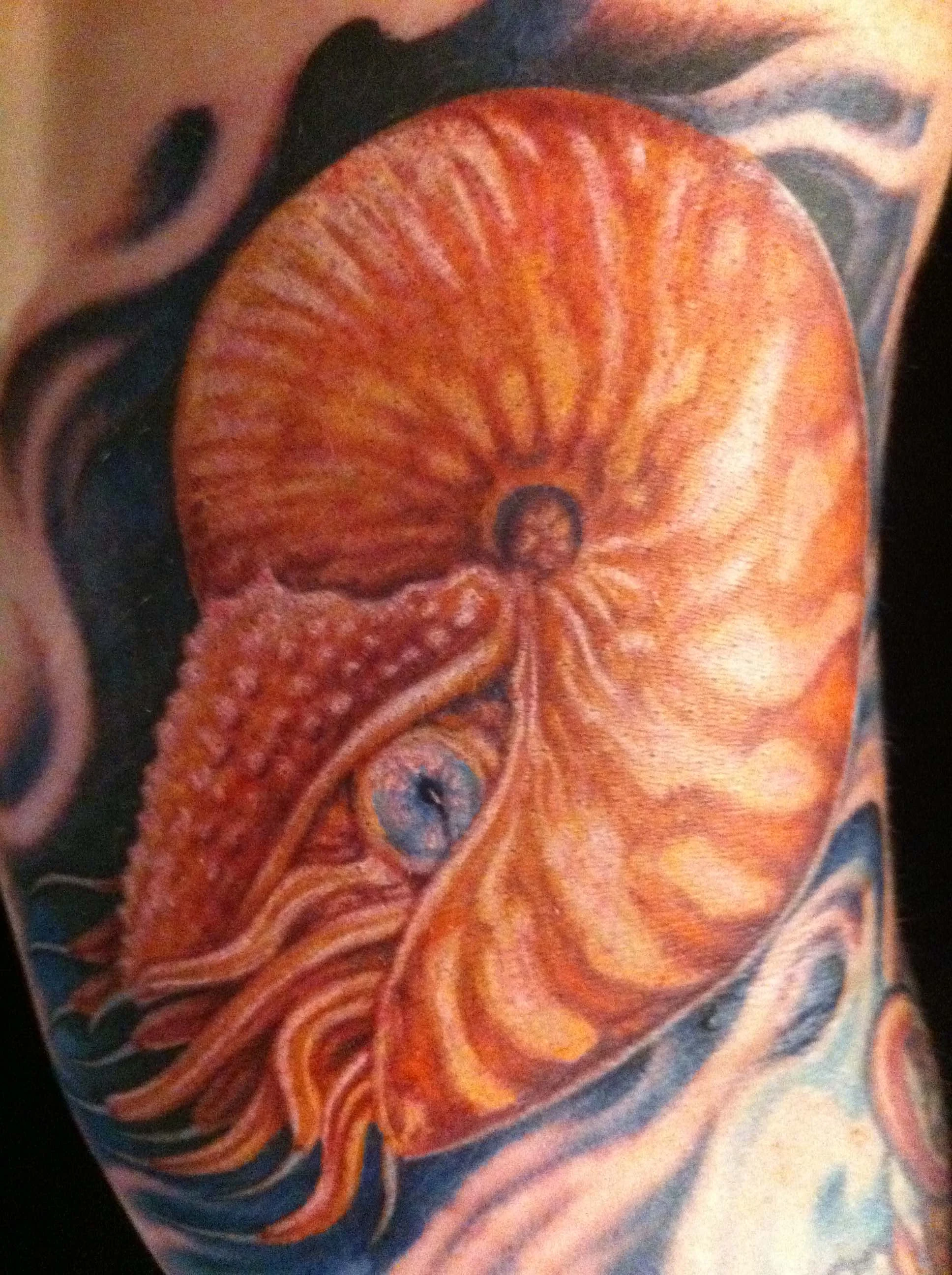Chambered Nautilus Tattoo