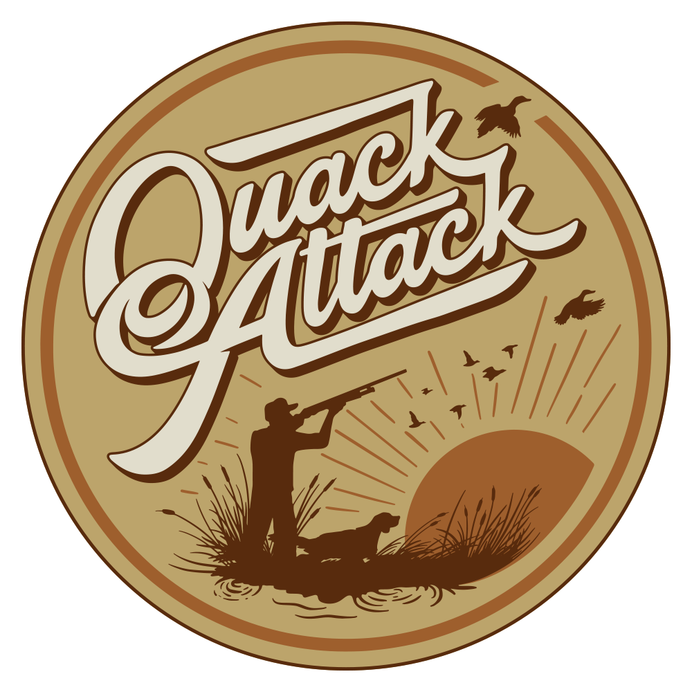 ILLUSTRATION + HAND LETTERING — Newton Design Co.