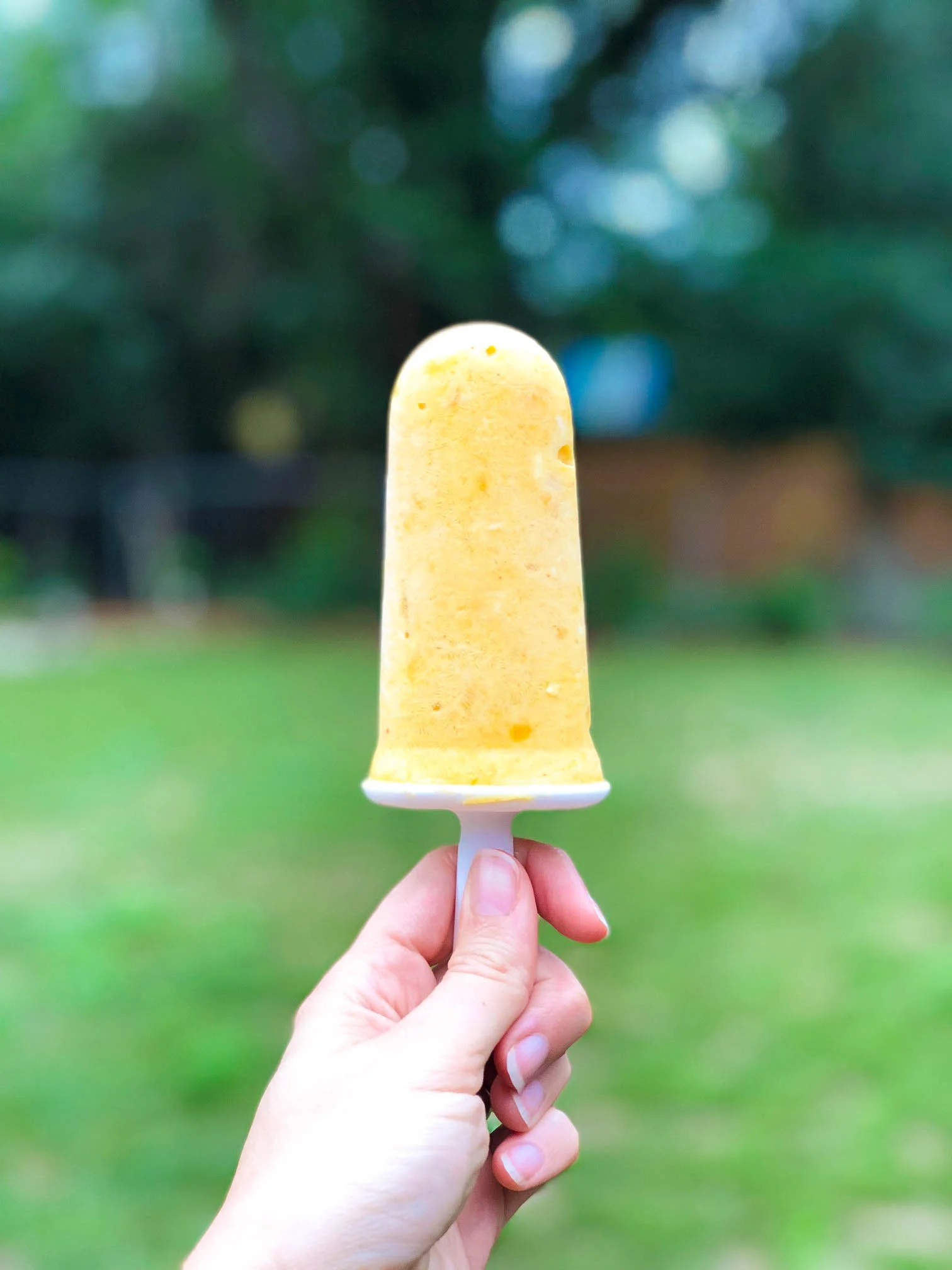 Chili Mango Popsicles — Registered Dietitian Columbia SC - Rachael ...