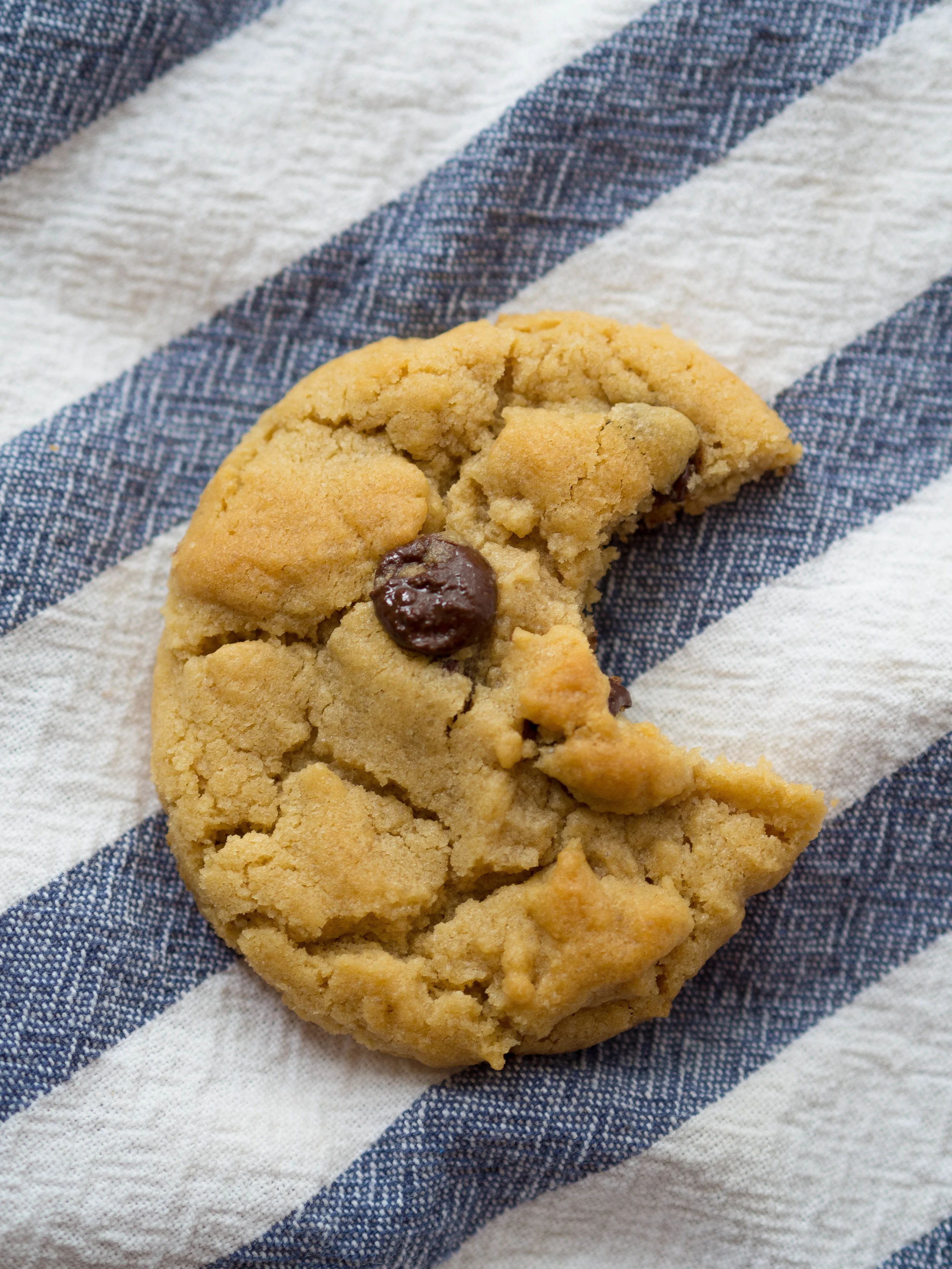 Chocolate Chip Tahini Cookies — Registered Dietitian Columbia SC ...