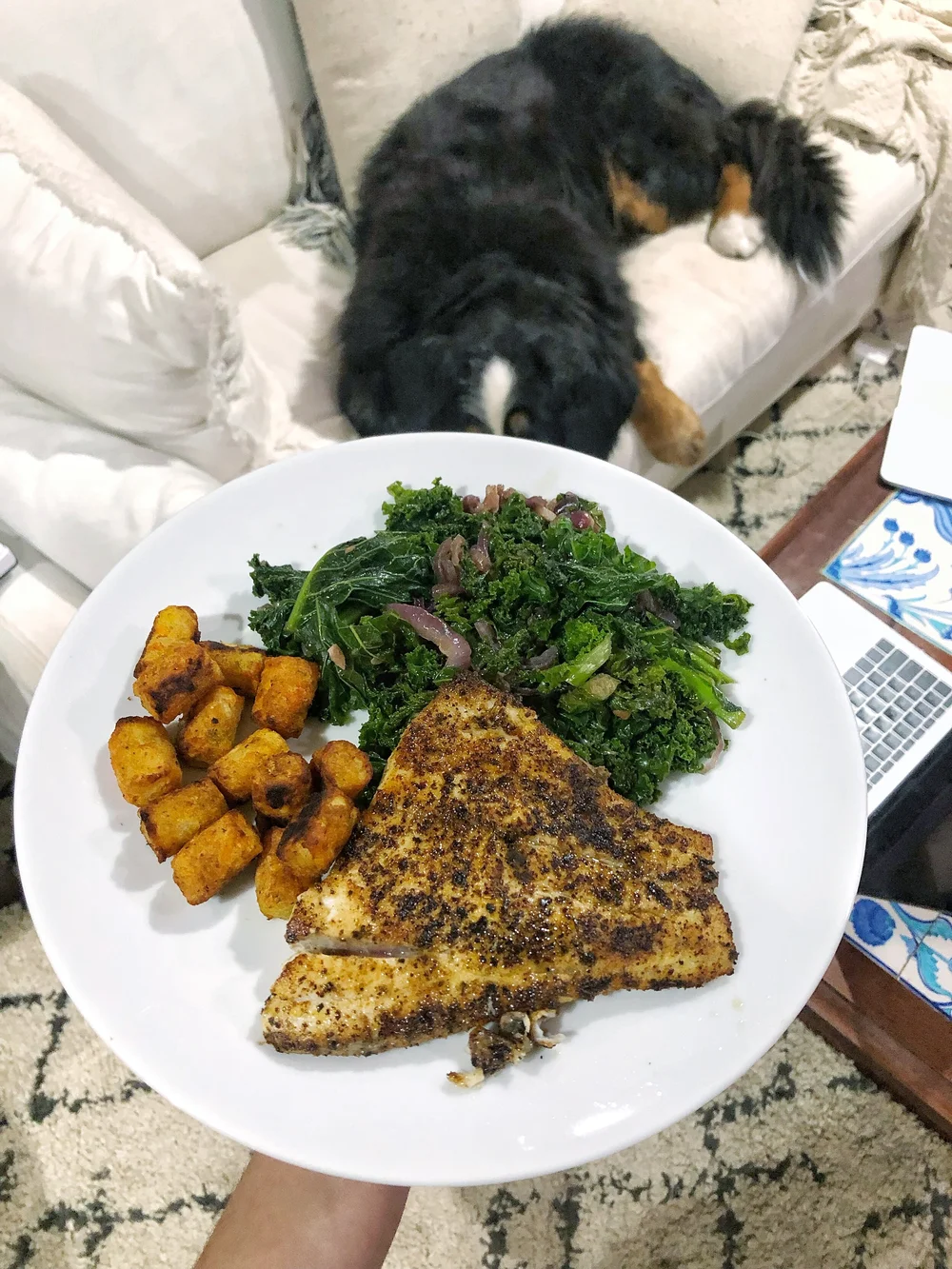 Why Am I Feeling Hungry After Eating? — Registered Dietitian Columbia ...
