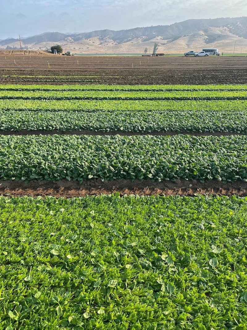 Trip to Monterey California with Alliance for Food and Farming Recap ...