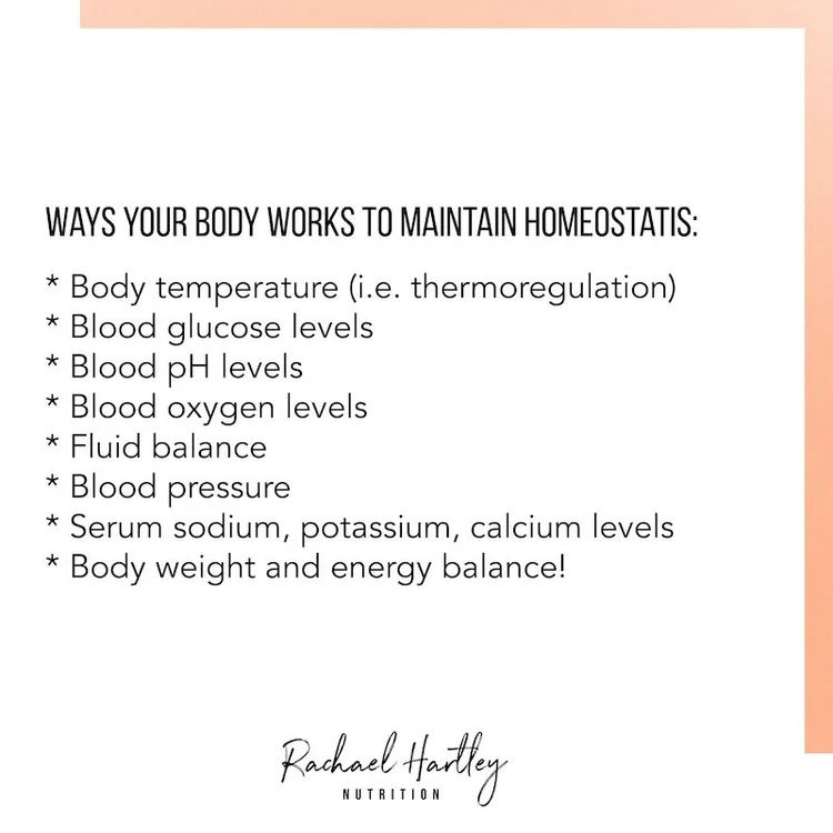 What is Set Point Weight Theory? — Registered Dietitian Columbia SC ...