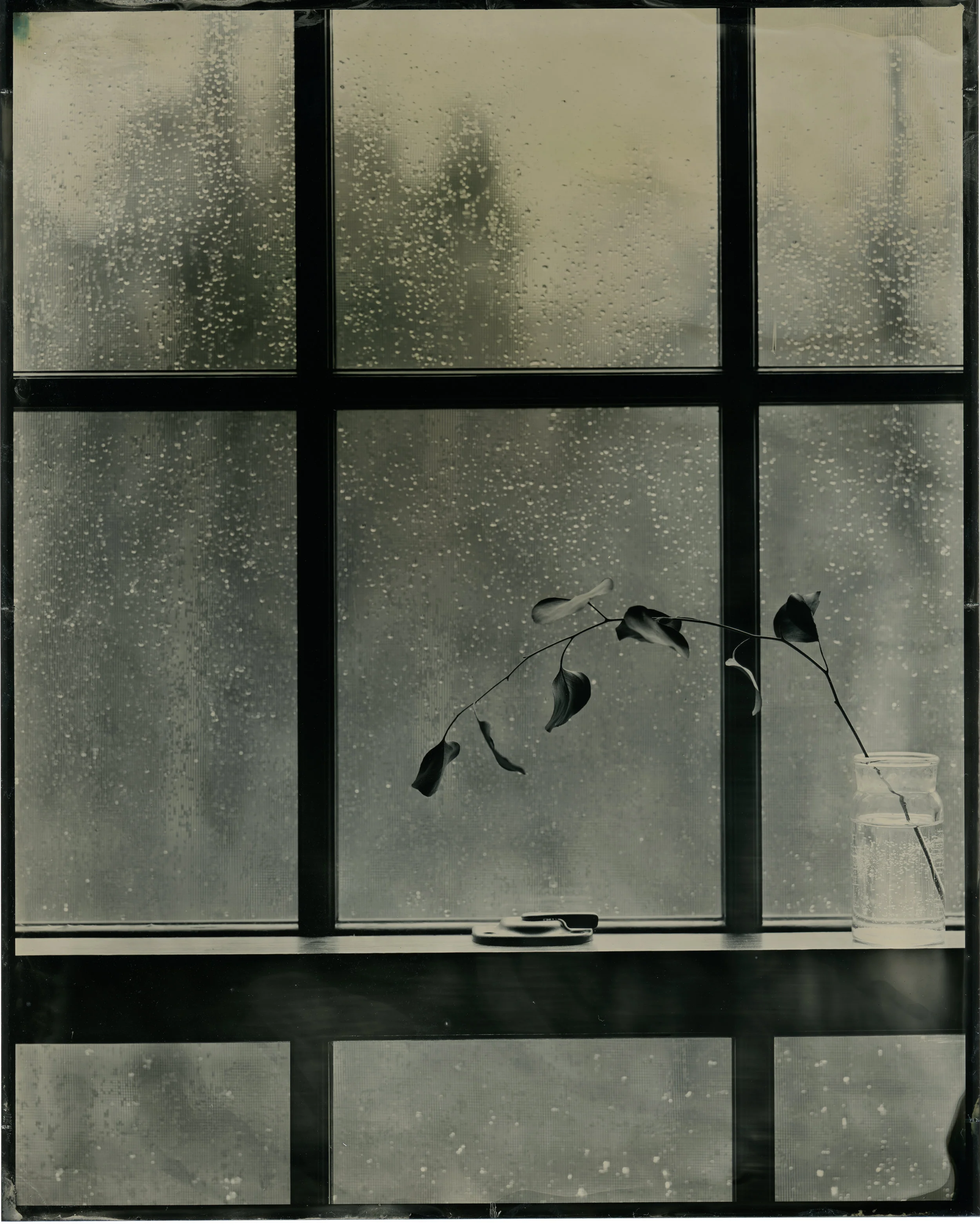 Wet Plate Collodion — Tyler Bervy