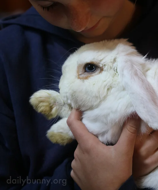 Bunny's Beautiful Eyes Bring Out the Blue in Human's Shirt — The Daily ...