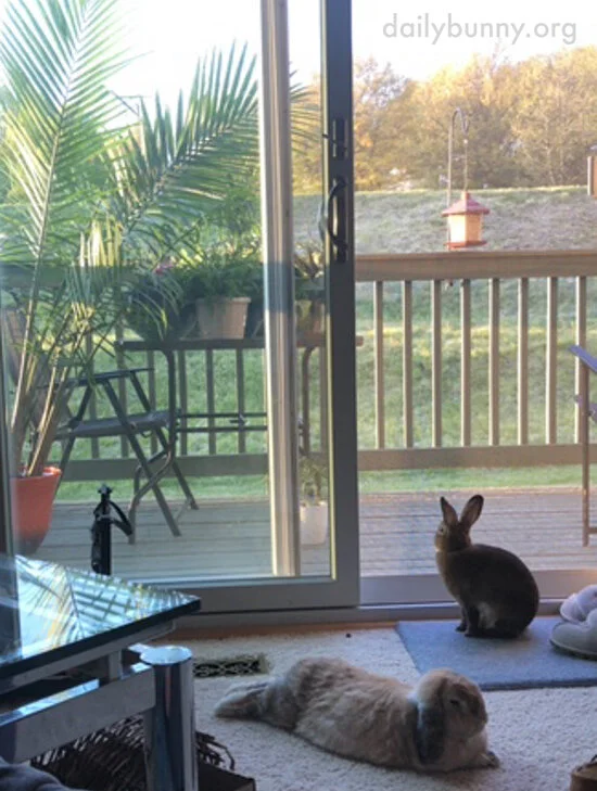 Don't Worry, Human, You'll Be Able to Get Back Out There Someday Soon ...