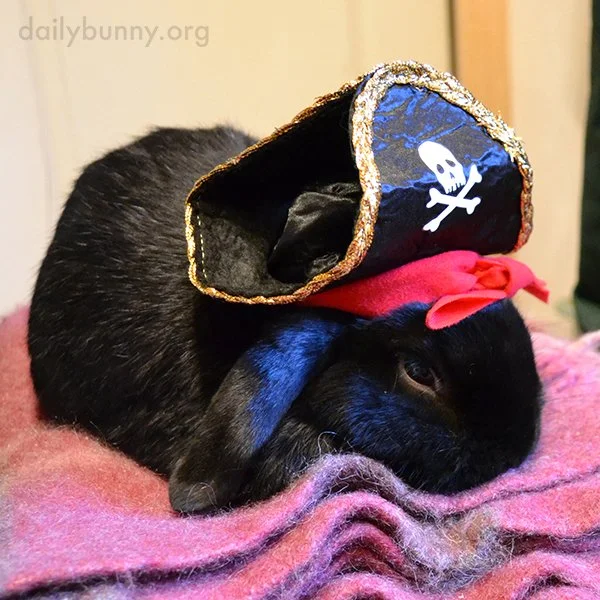 It's the Daily Bunny's Halloween 2021 Mega-Post! — The Daily Bunny