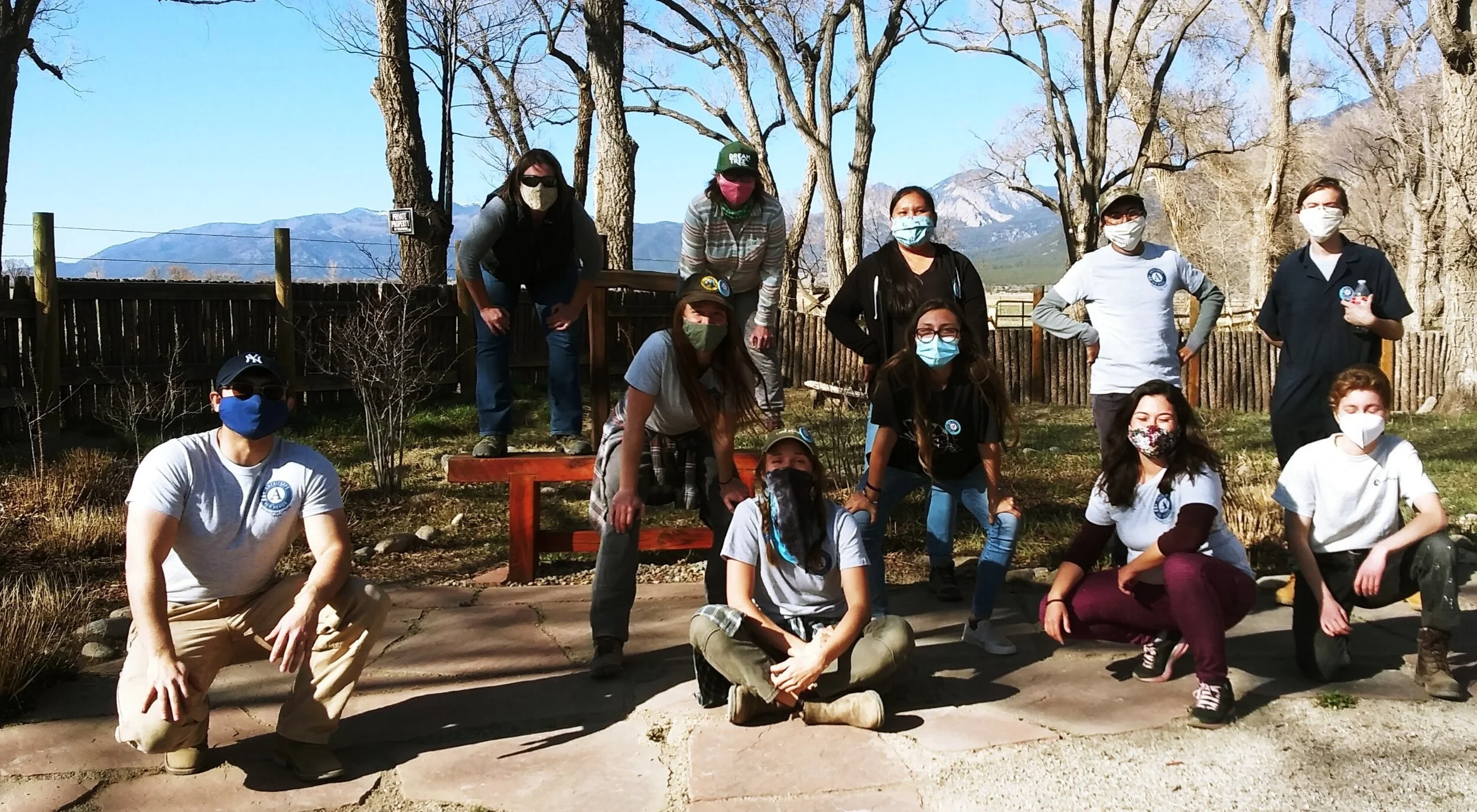 DreamTree Project — Enchanted Circle Corps