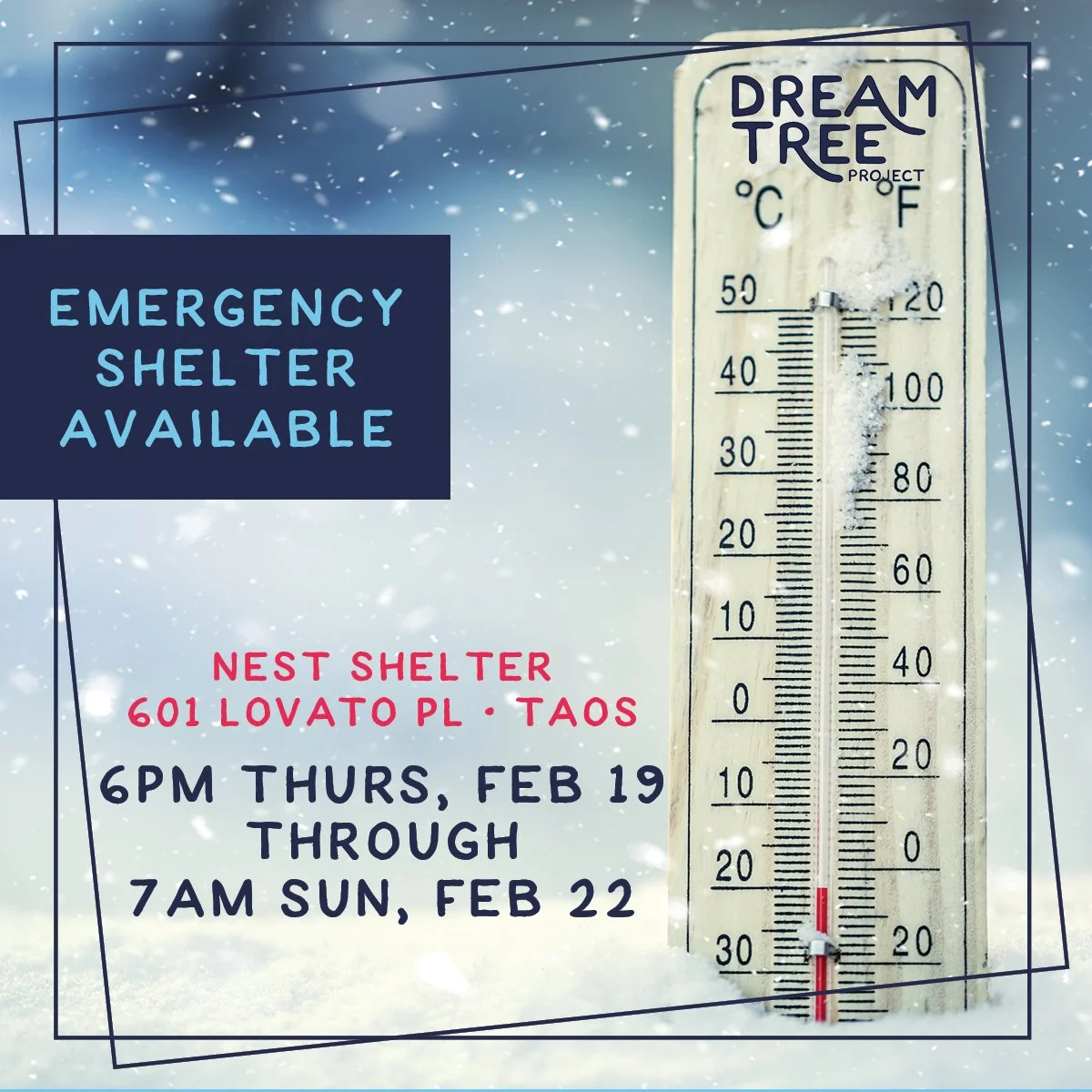 This Week at NEST: Code Blue in Effect — DreamTree Project