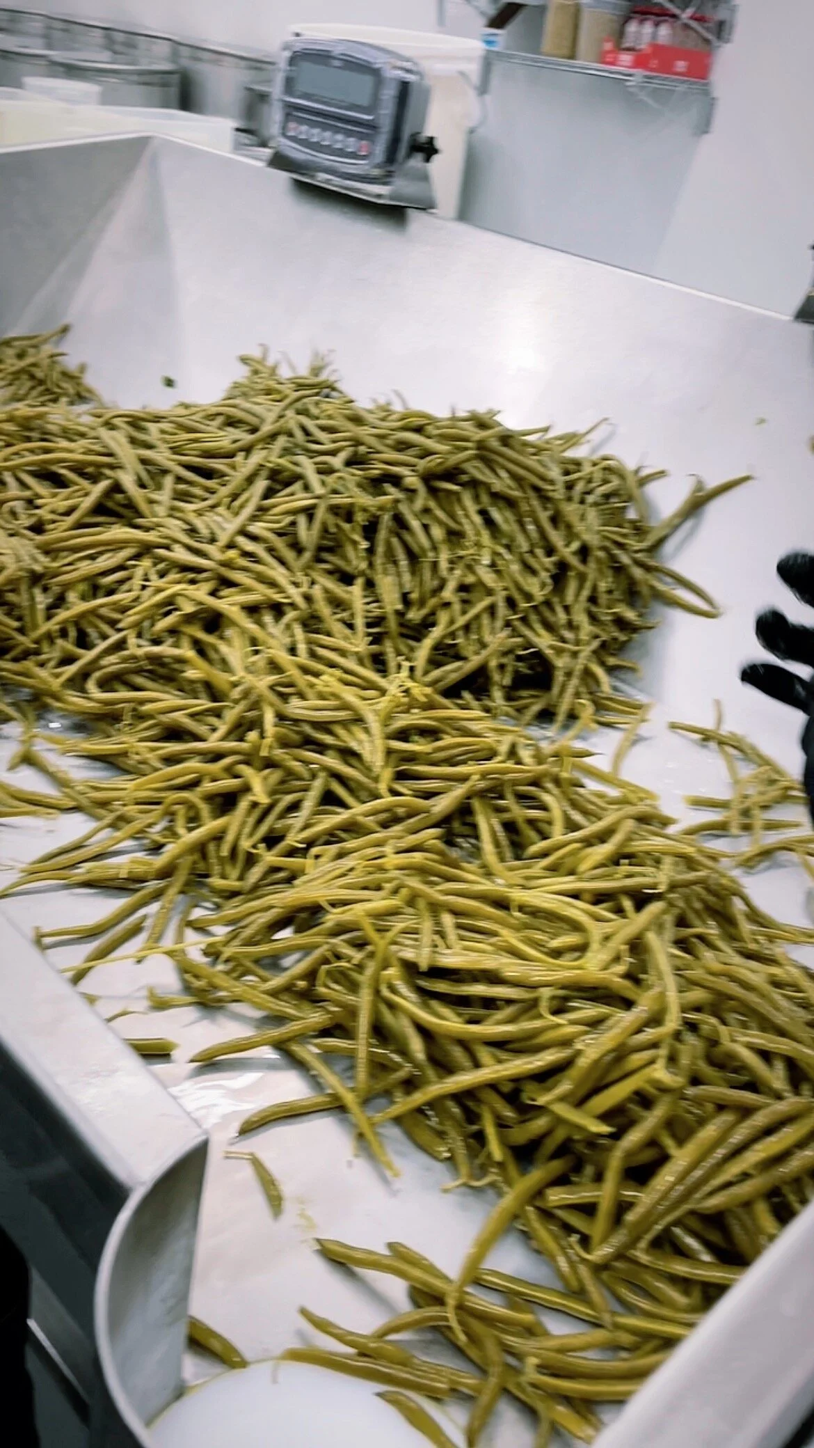 Small Town Cultures hand-crafts healthy, plant based, fermented foods ...