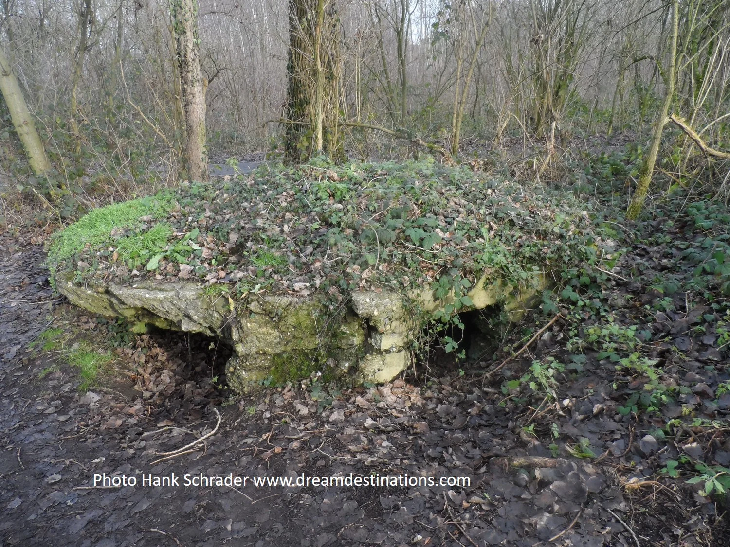 End of the Great War--A Flanders Fields Tour — Dream Destinations
