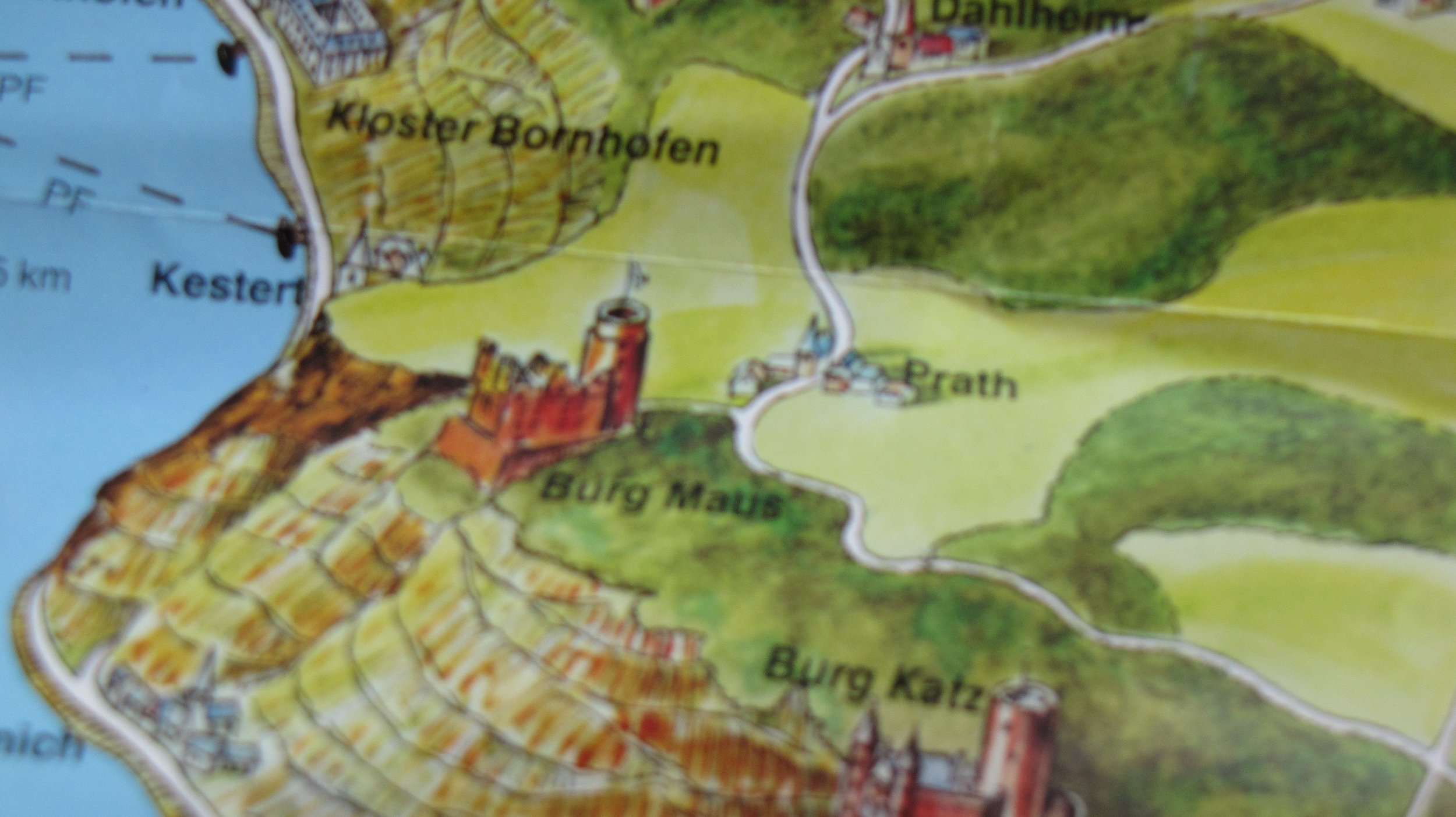 The Cat and Mouse Castles of the Rhine — Dream Destinations