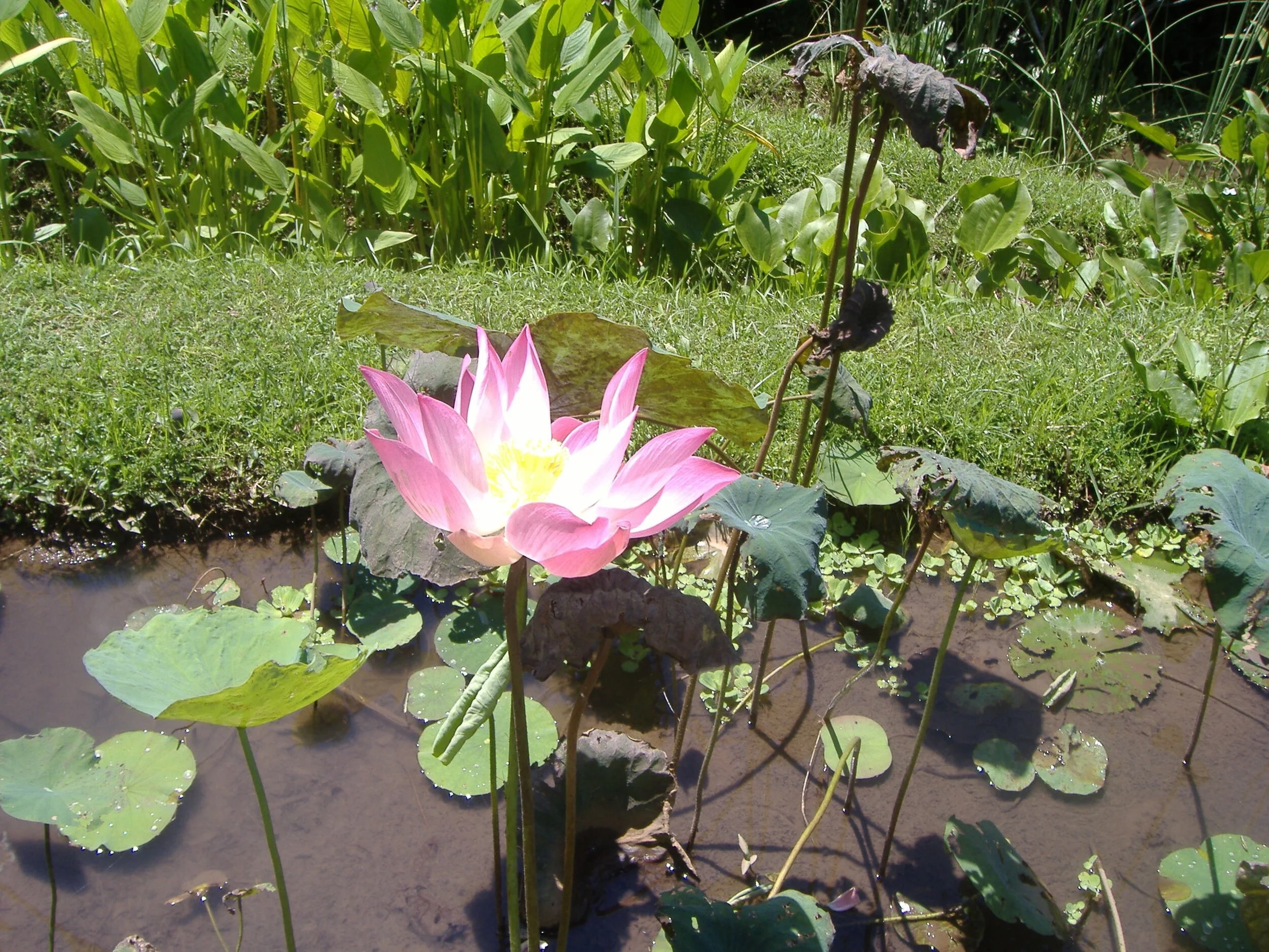 Thin Moments, Thin Places, Grace, and Vulnerability — Creative Resonance