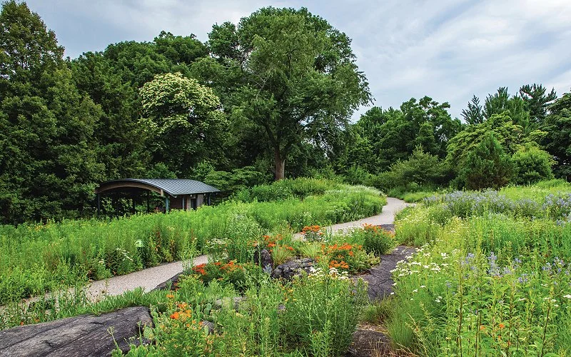 Strategies to reduce biodiversity loss — LANDSCAPE ARCHITECTURE AOTEAROA