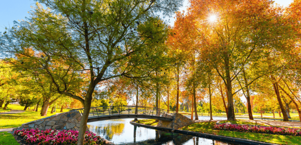 Why urban green spaces are as important as natural reserves — LANDSCAPE ...