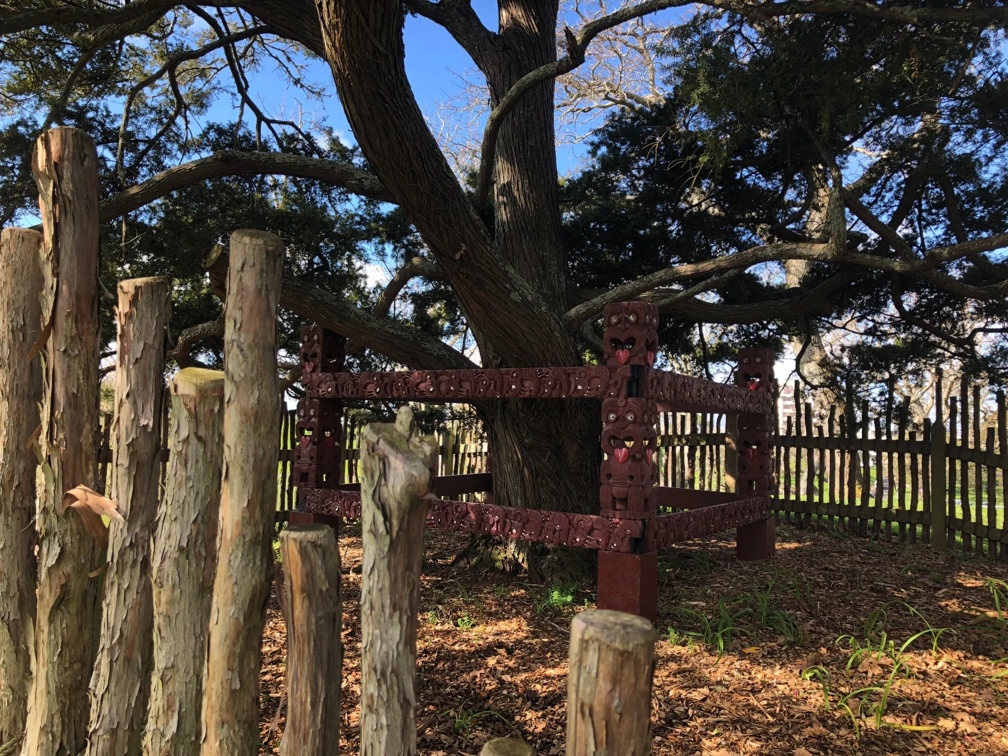 International award for the Auckland Domain — LANDSCAPE ARCHITECTURE ...