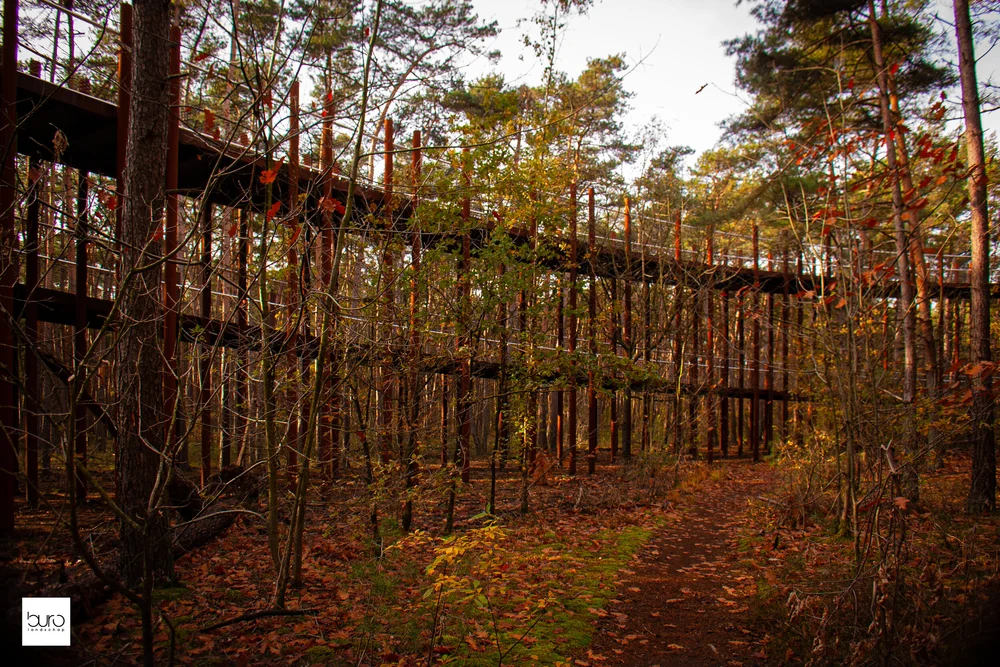 Cycling through the trees — LANDSCAPE ARCHITECTURE AOTEAROA